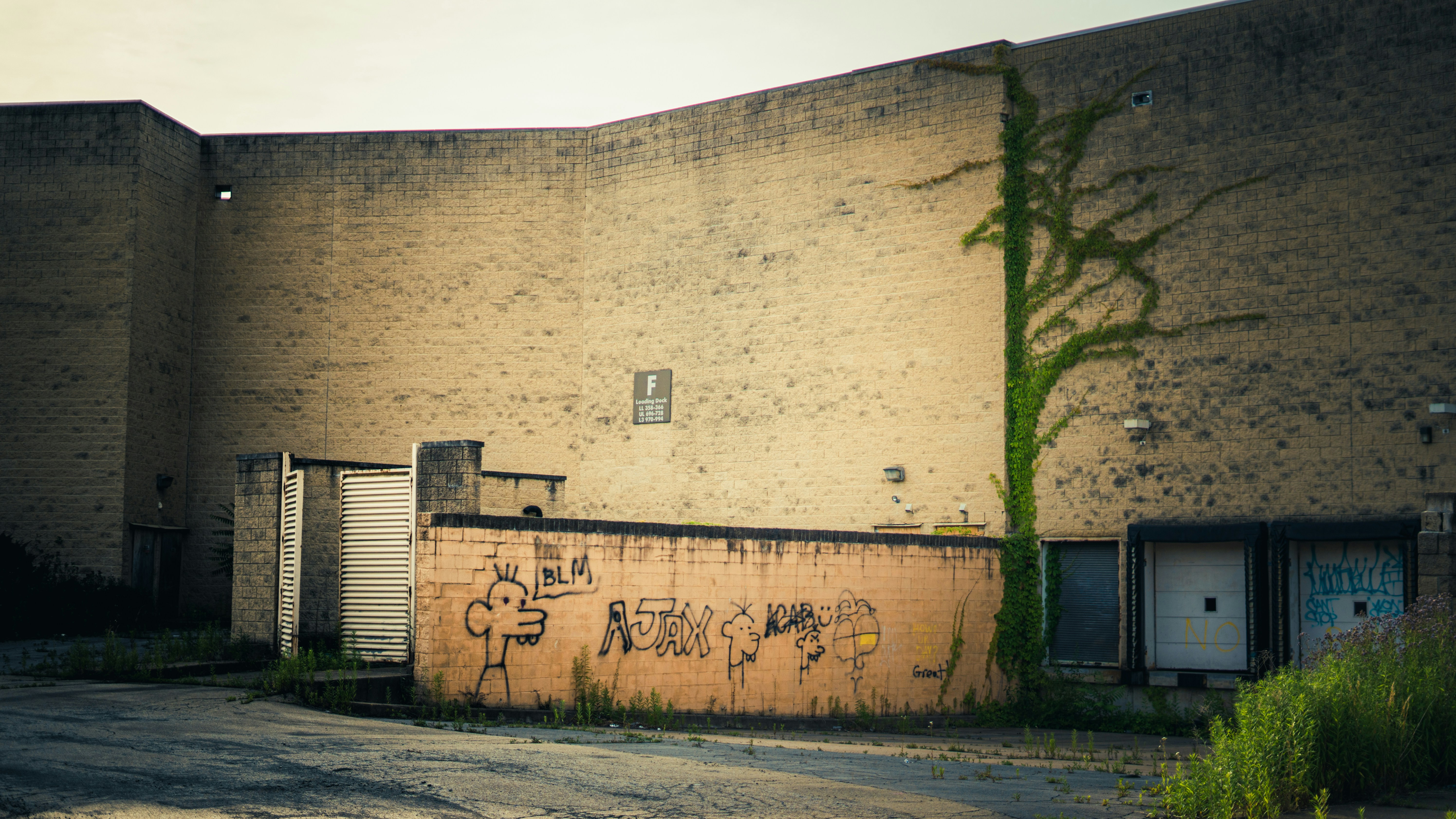 Graffiti-adorned wall of an abandoned building with vibrant green vines creeping up the facade.