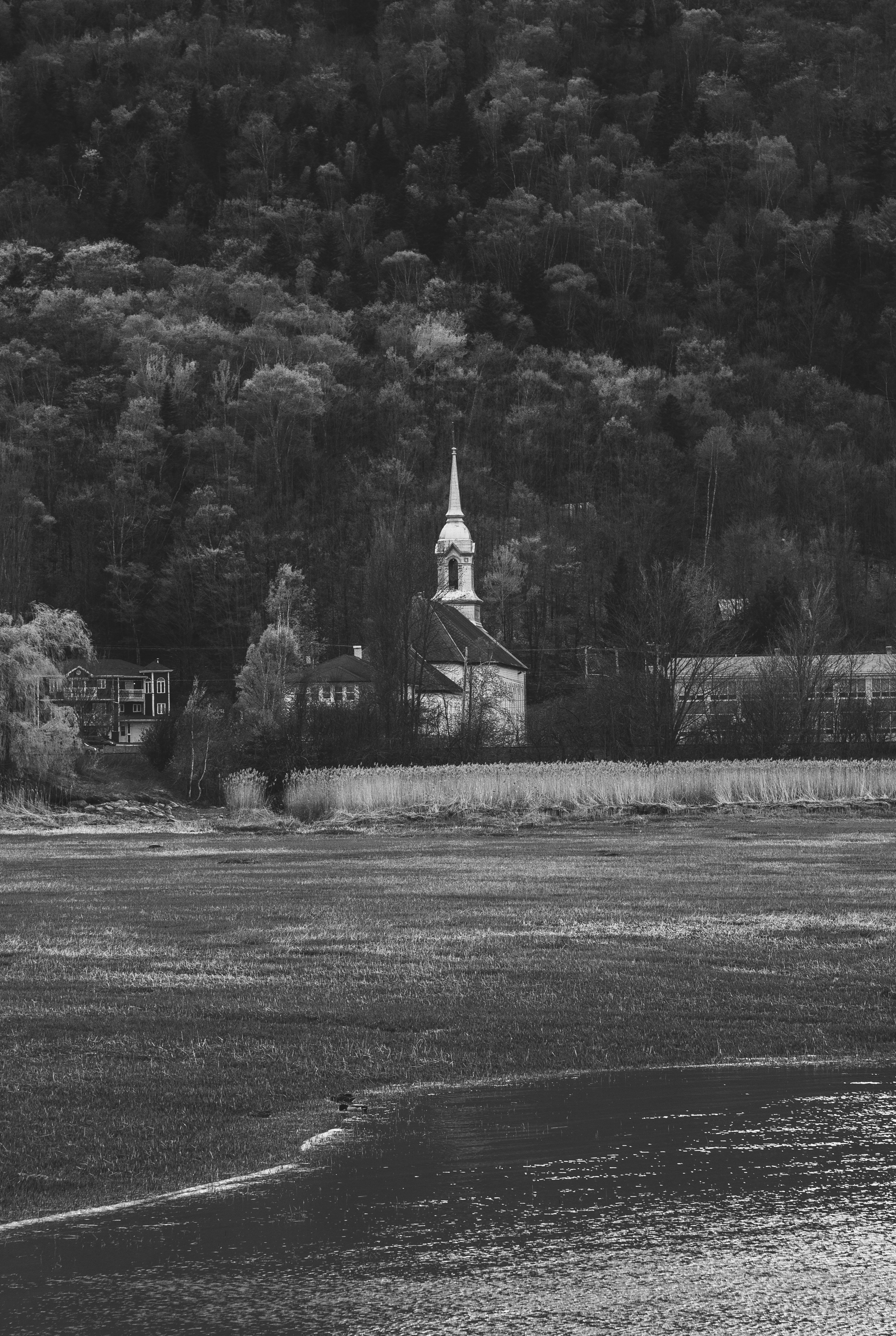 a black and white photo of a building with a tower and trees in the background
