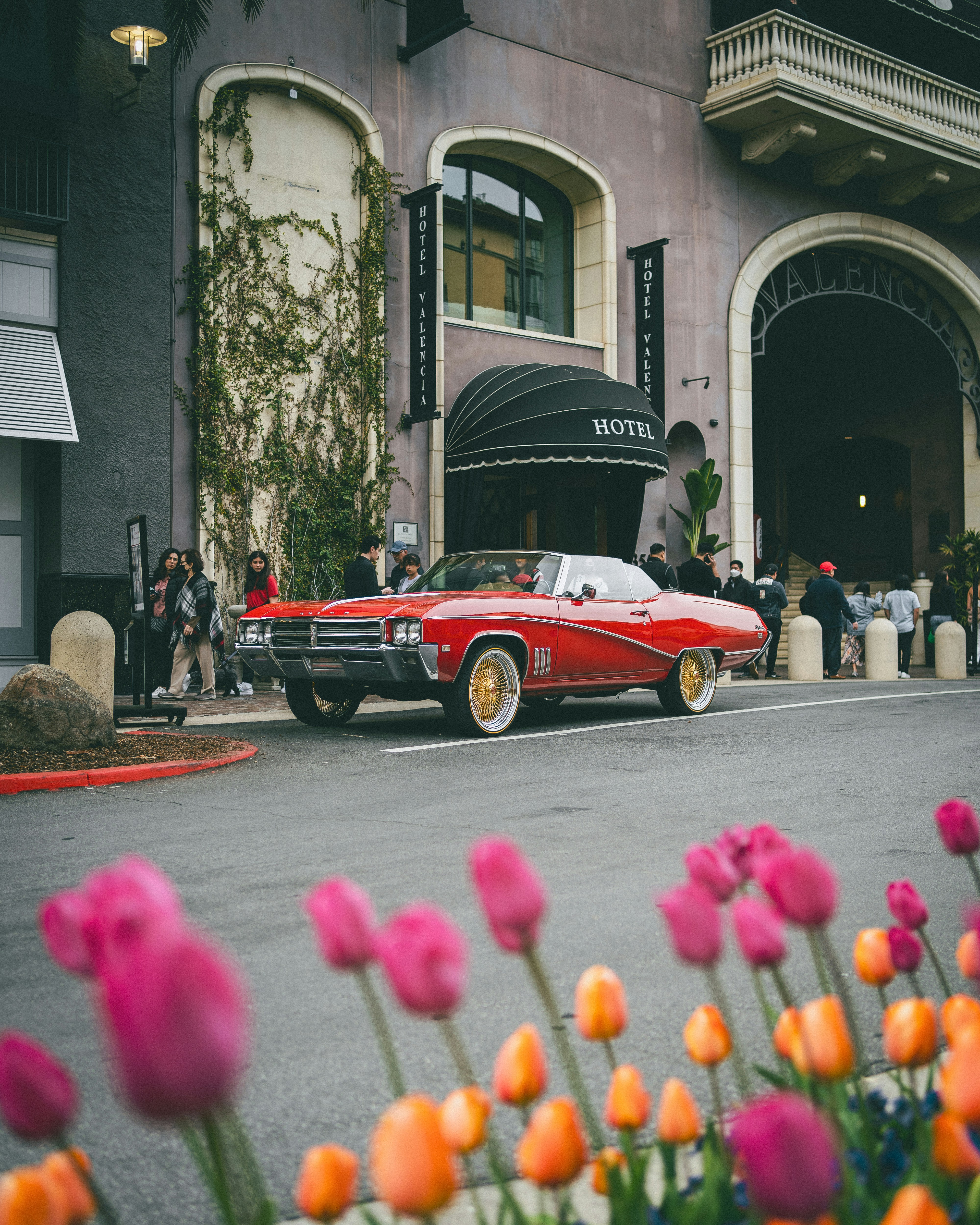 Crimson Convertible by Hotel Valencia: Ivy, Tulips, and Time Stopped
