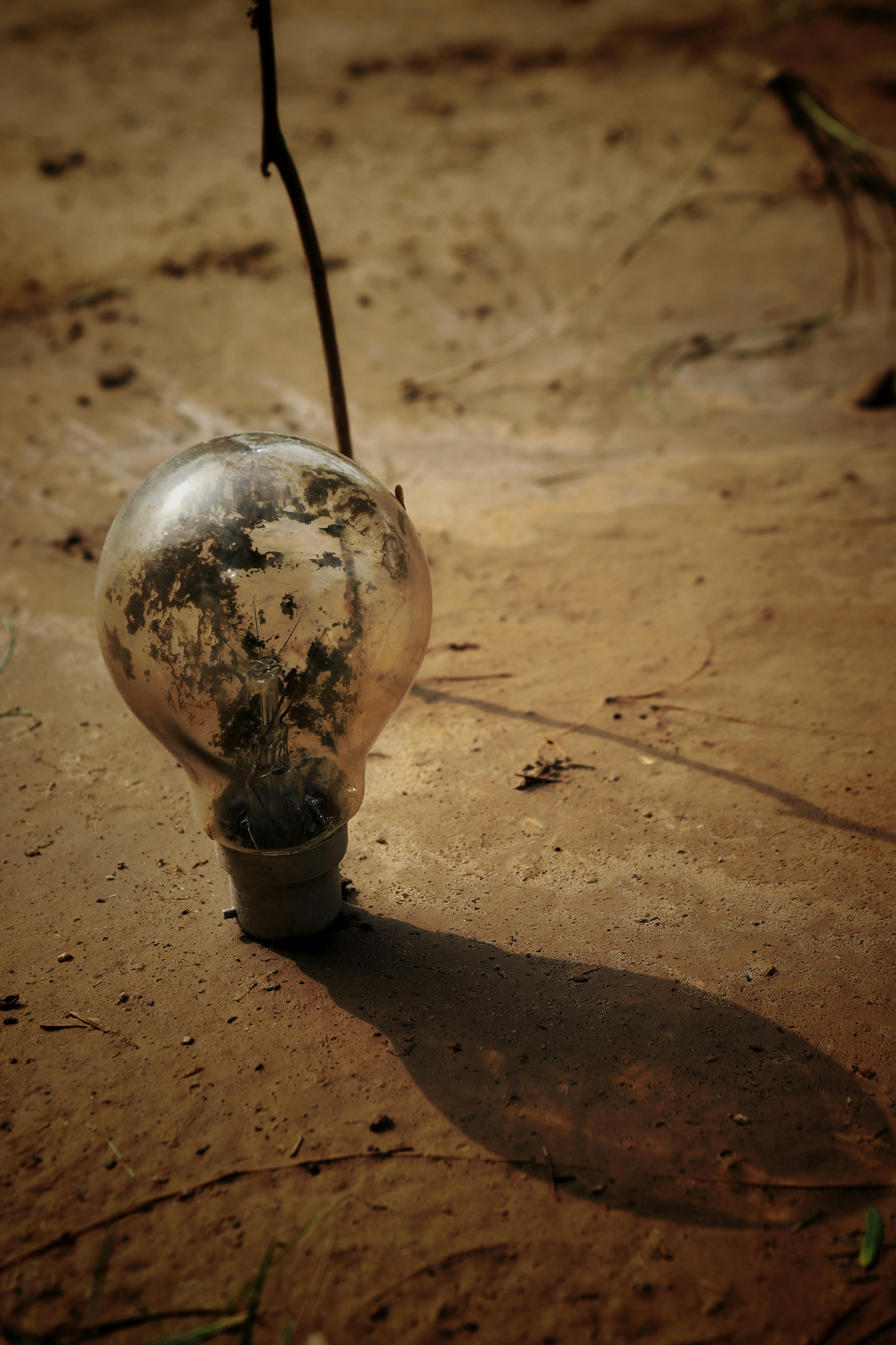 Dirt-Scuffed Bulb on a Sunlit Track