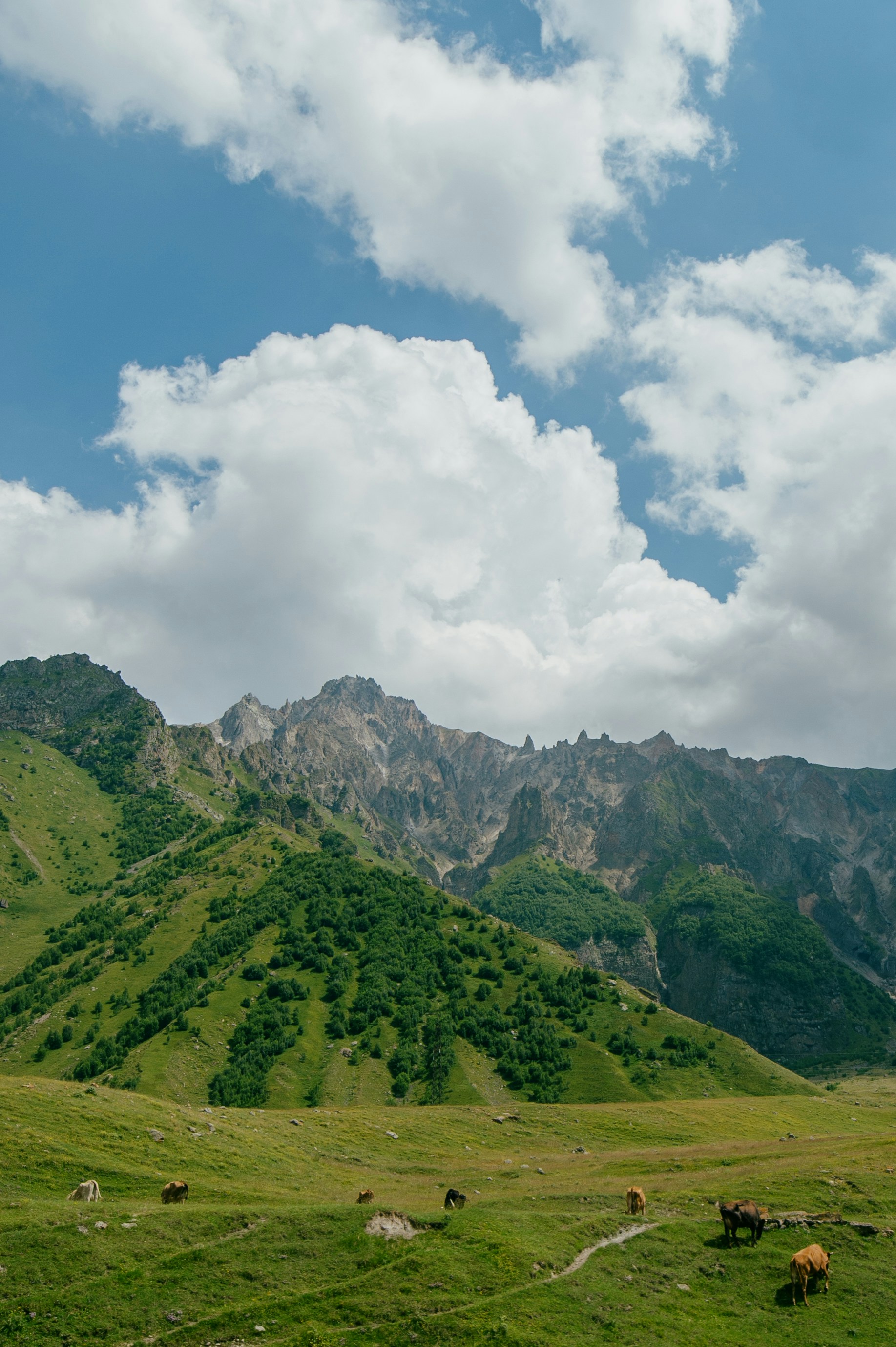 Vast green pastures dotted with grazing cattle beneath towering mountain peaks and a dynamic sky filled with clouds.