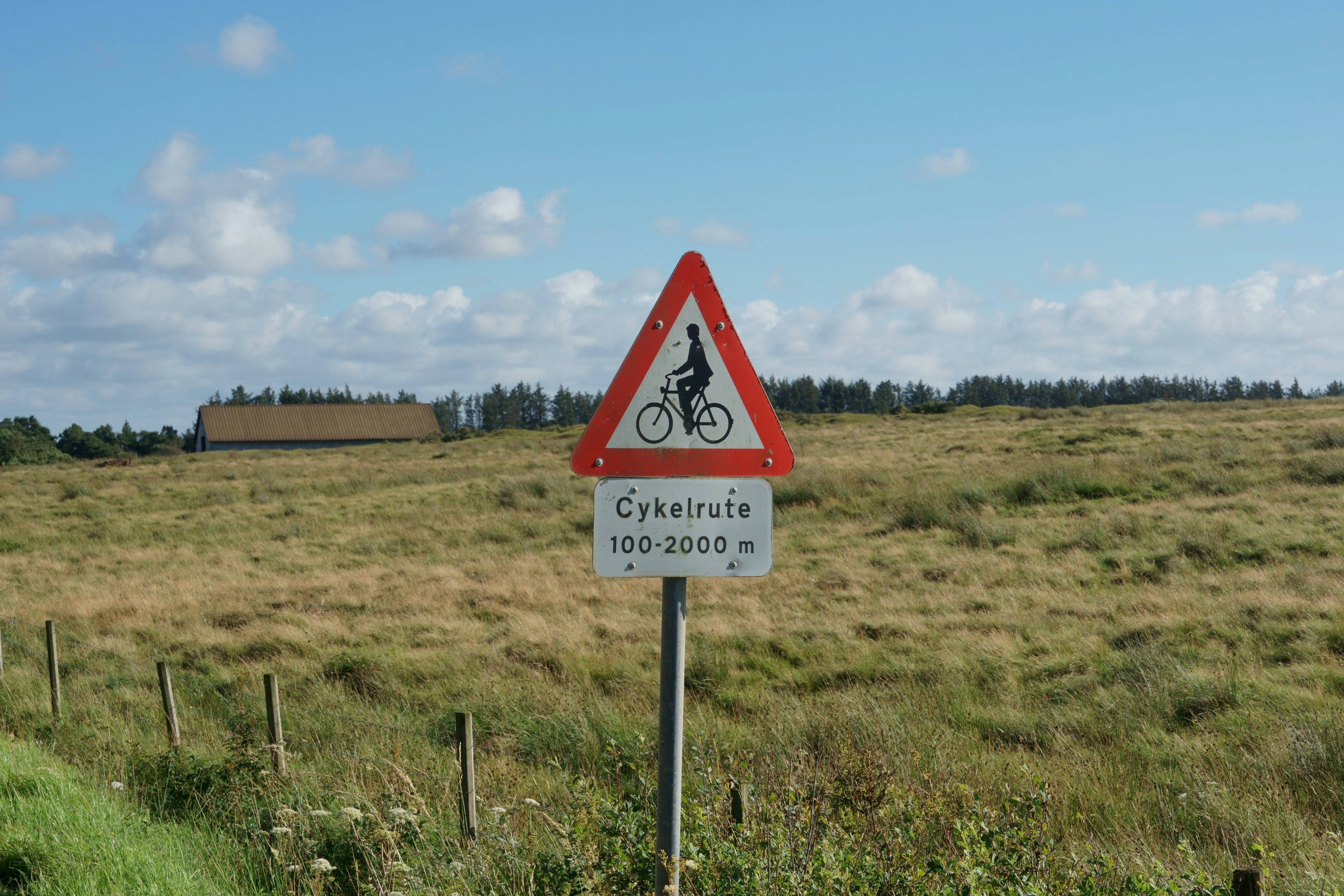 Cyclist Warning Sign in a Wind-Swept Danish Field