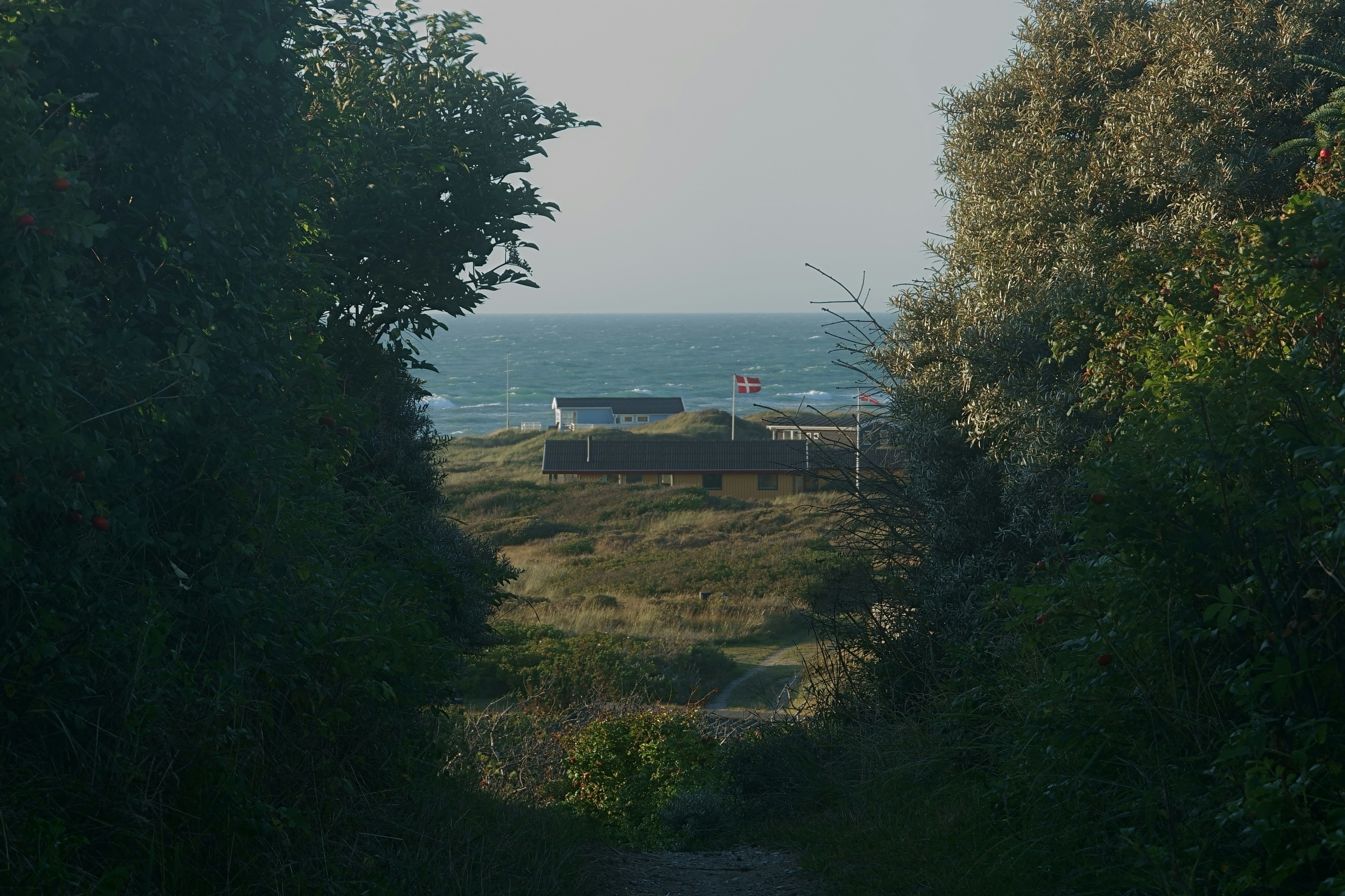 A path leading to a dock photo – Free Lønstrup Image on Unsplash