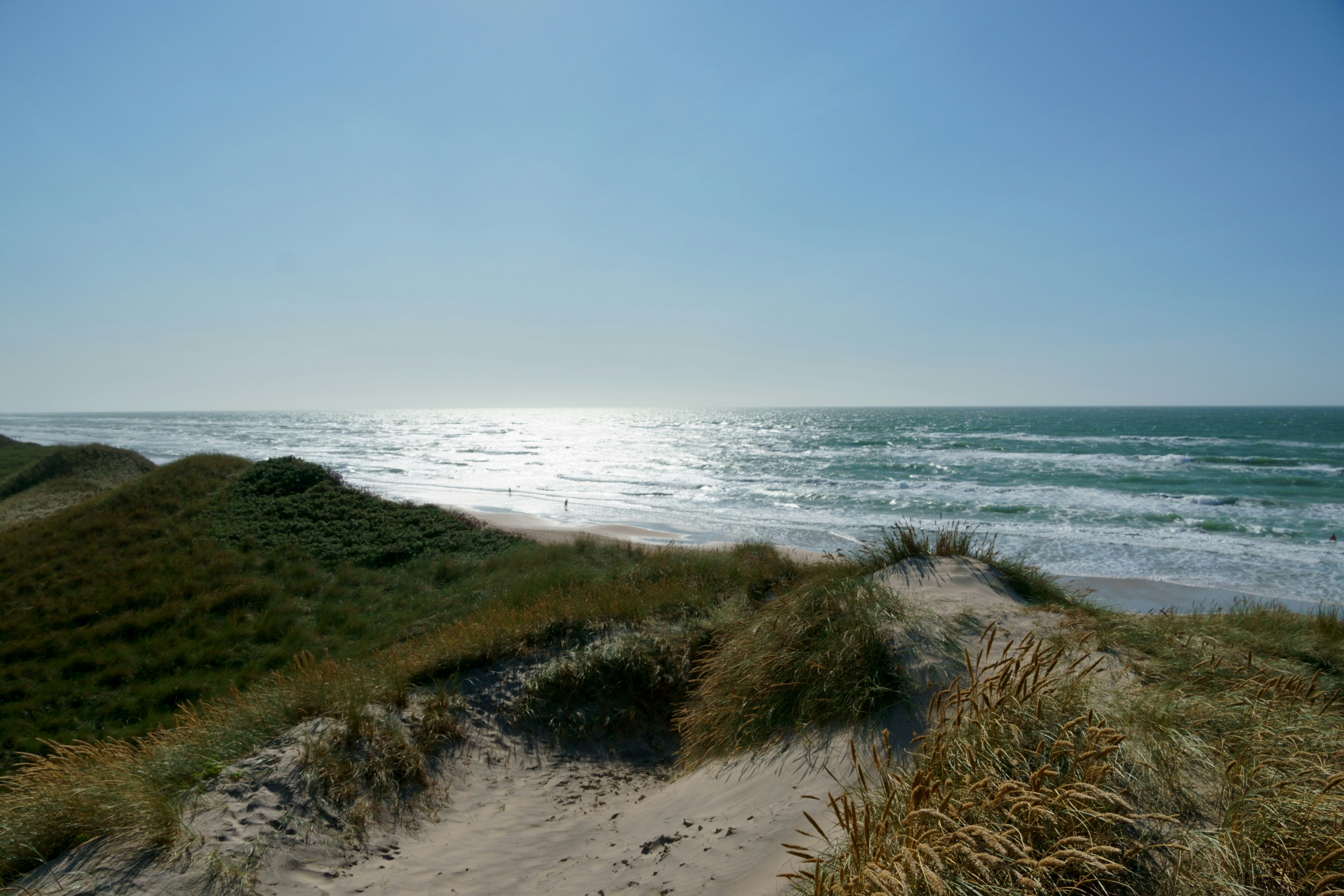 Waves gently lap against the sandy beach, framed by lush dunes under a clear blue sky.