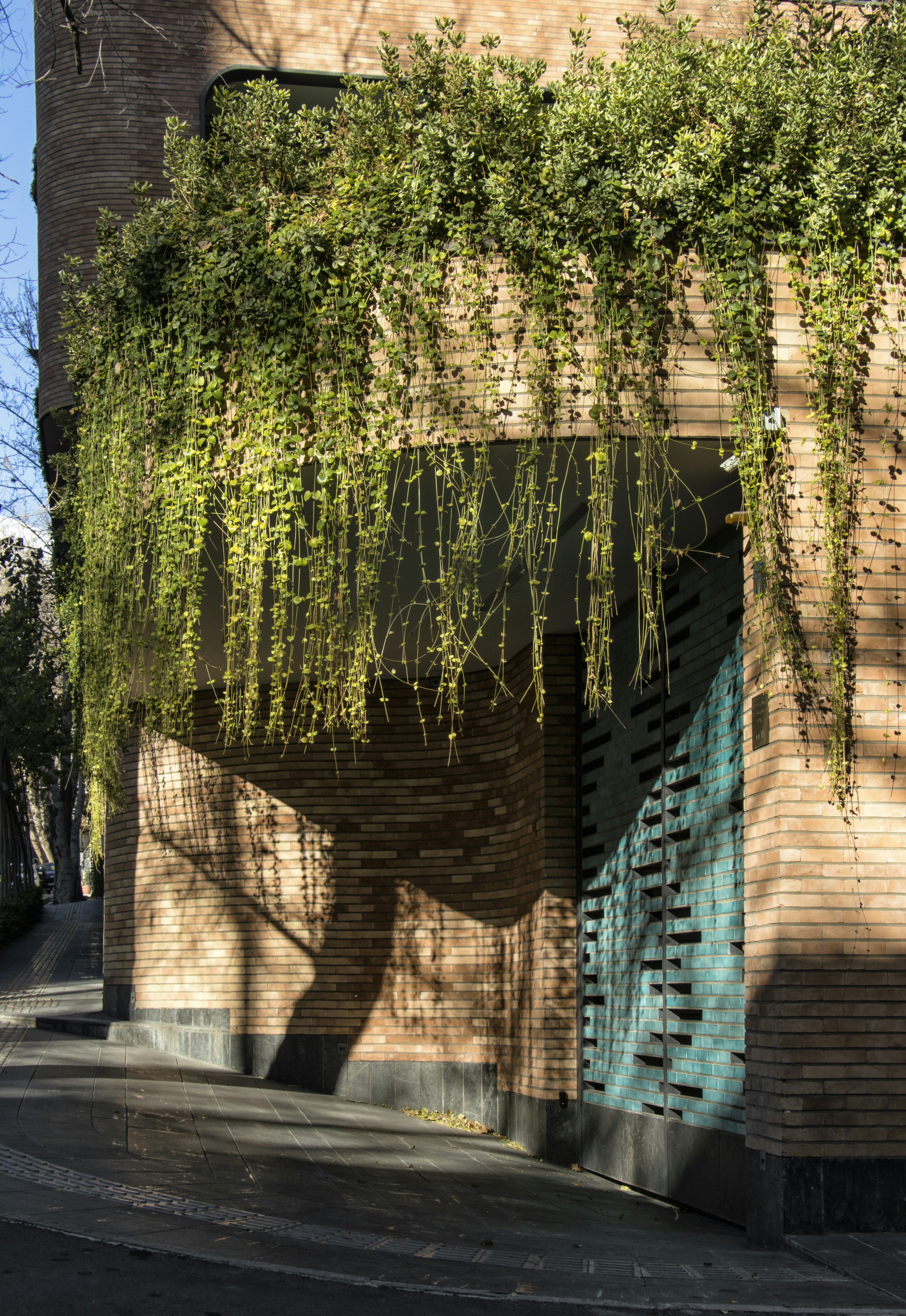 Teal Door Under Ivy: Shadowplay on a Sunlit Brick Corner