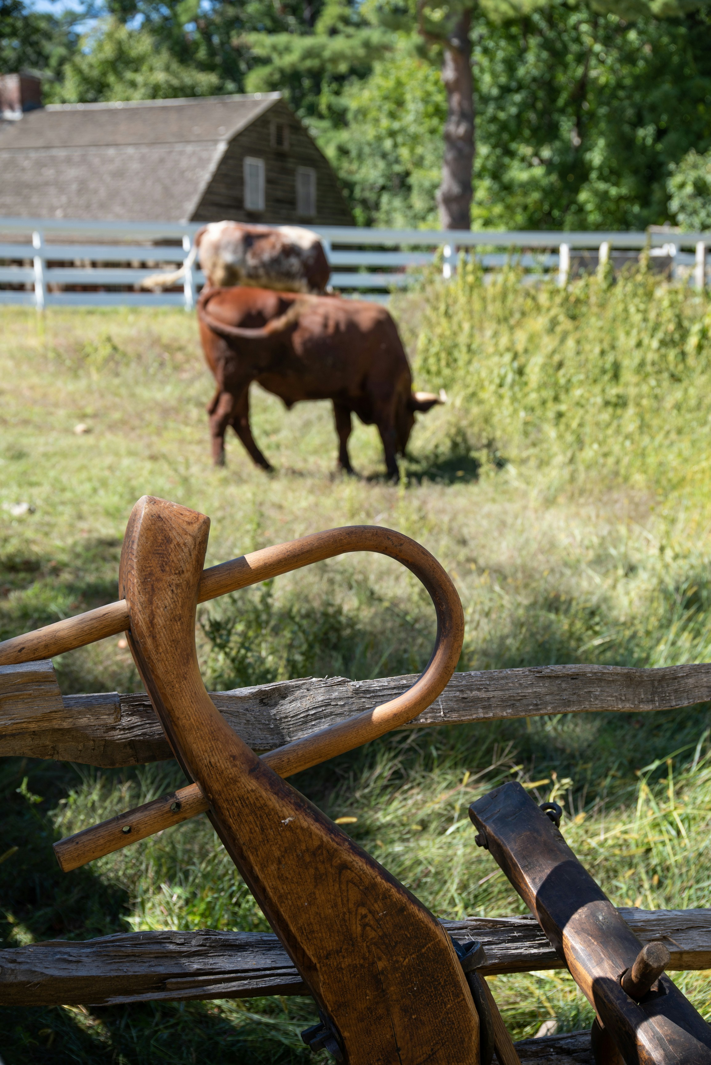 Outils De Ranch Photos | Télécharger des images gratuites sur Unsplash