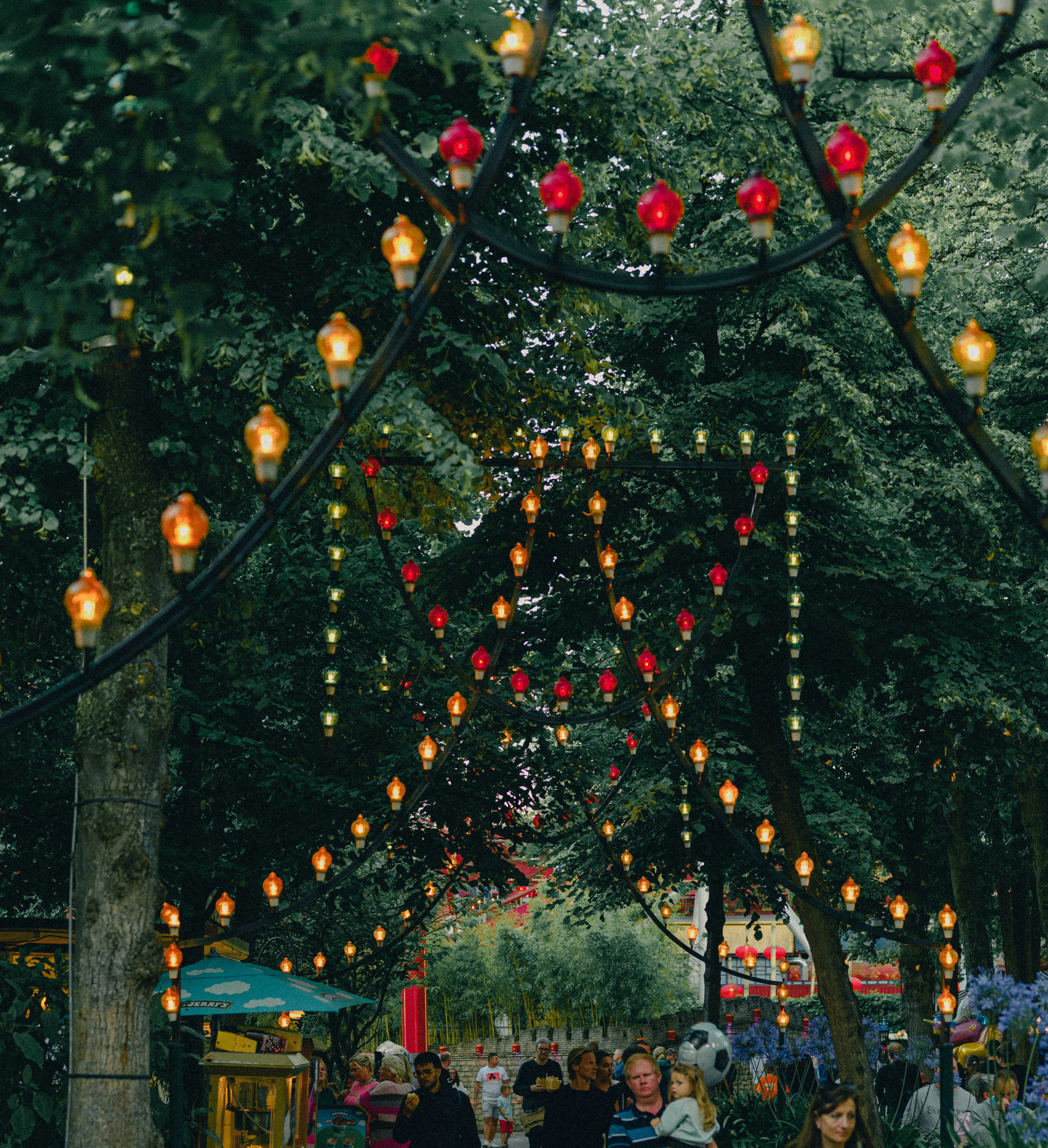 Lanterns in the Lanterned Avenue