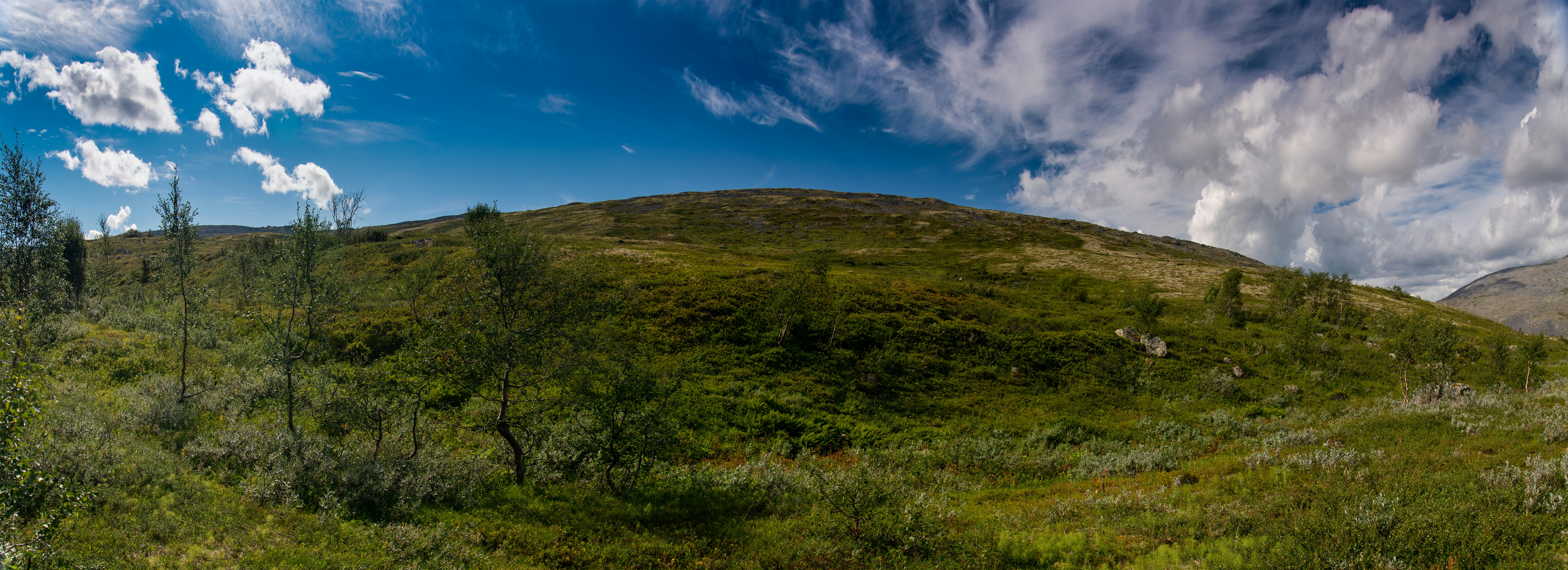 Lush green hillside under a vibrant blue sky dotted with clouds, showcasing the tranquility of nature. Ideal for outdoor enthusiasts and landscape lovers.