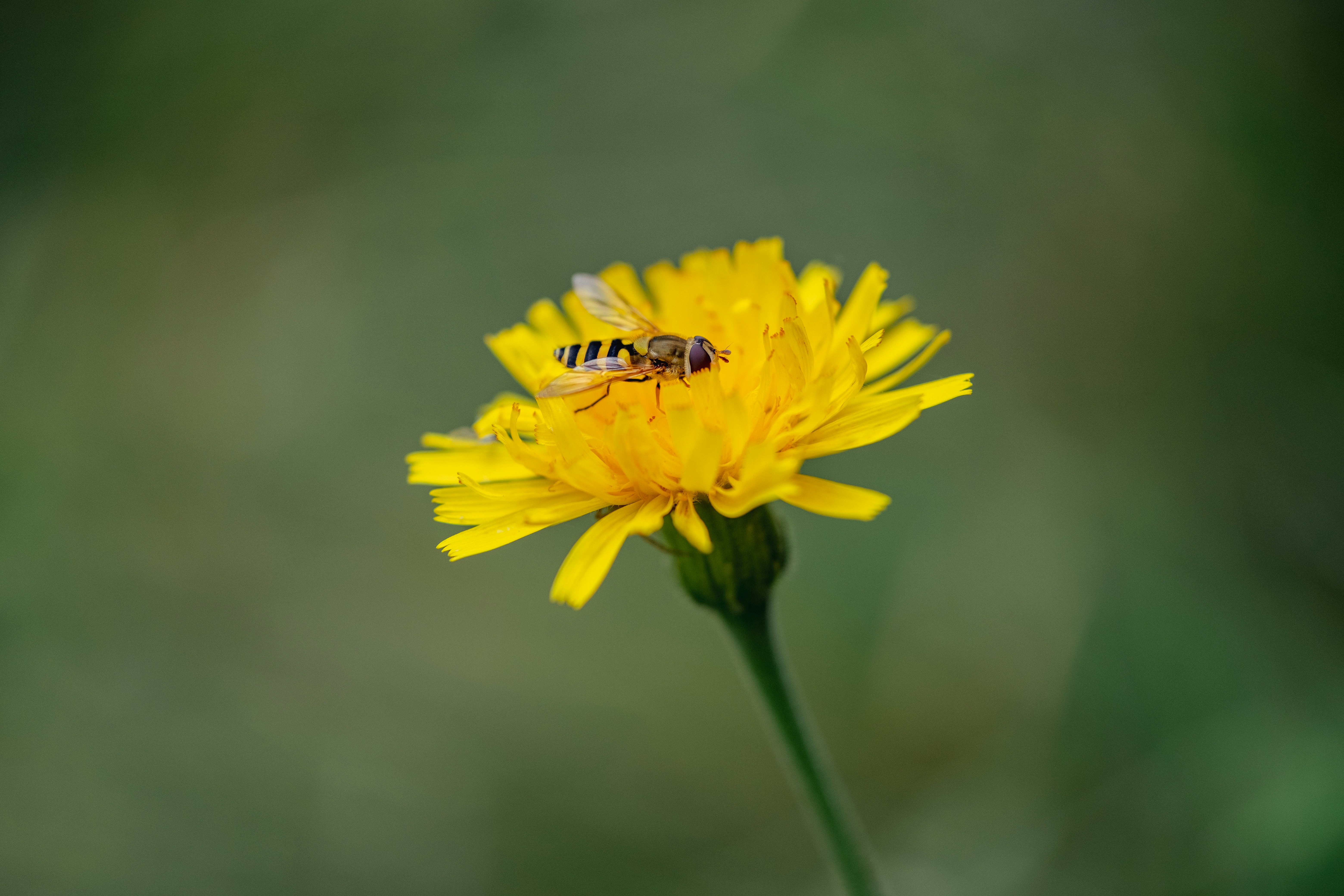 Photo by Milan Ivanovic with Fujifilm X-T3