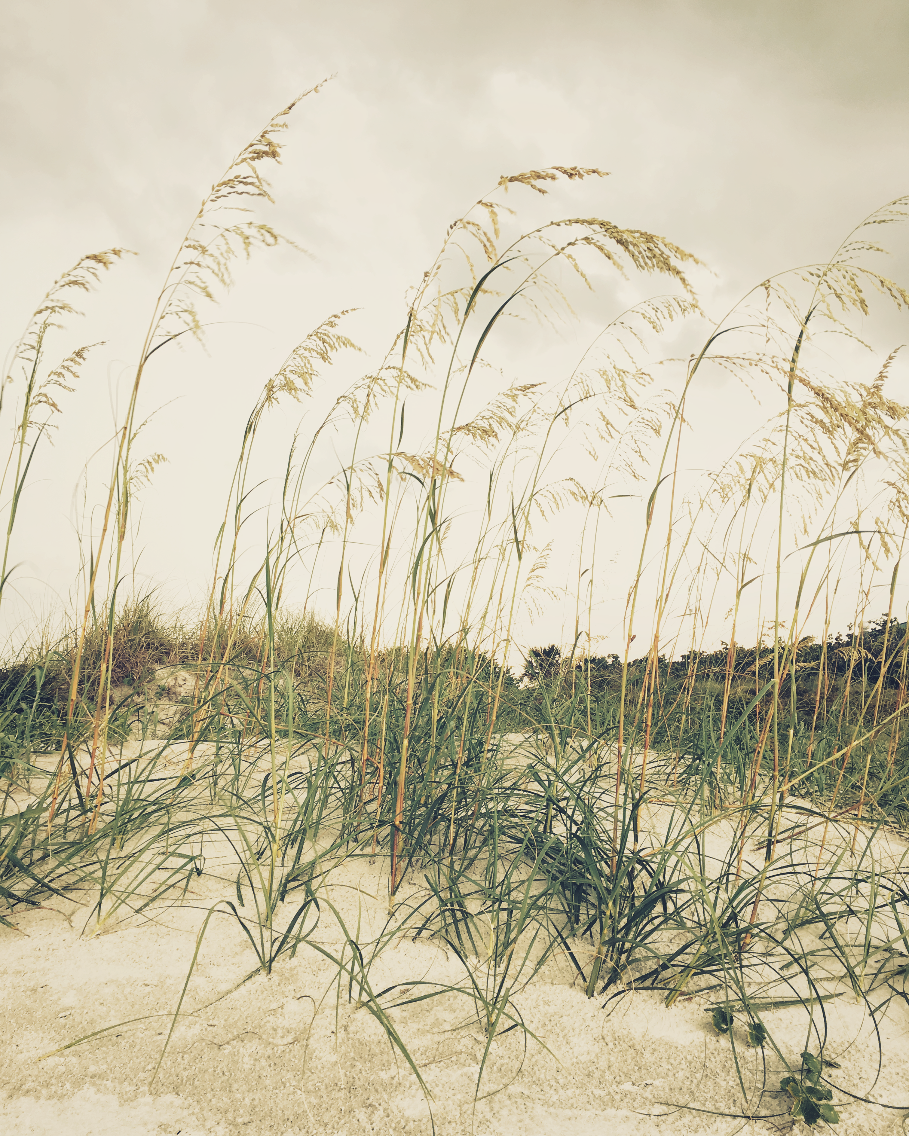 Anastasia Stoeckmann (@infiniteocean) | Communauté photos Unsplash