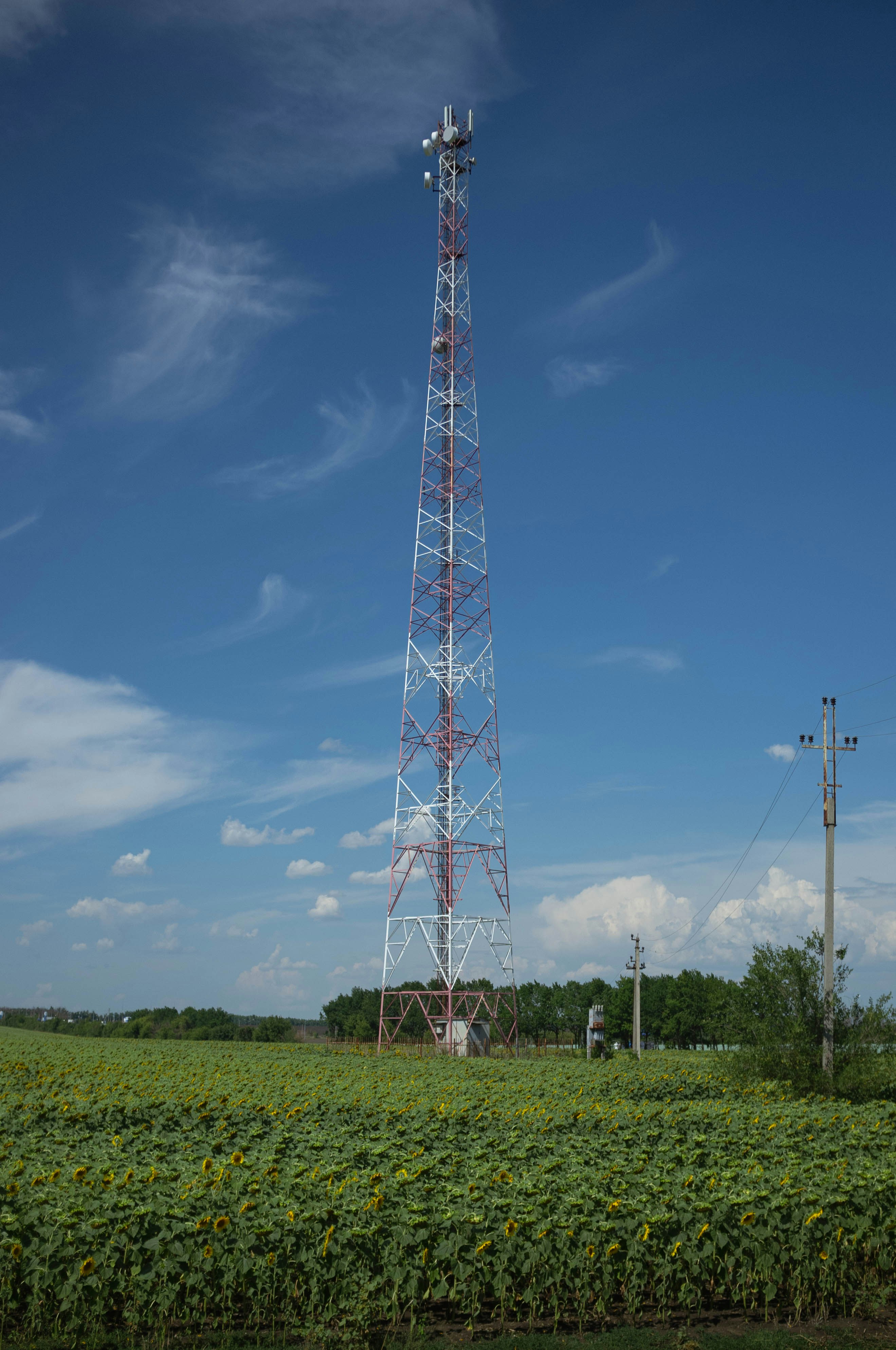 A communication tower rises above a vibrant field of sunflowers under a clear blue sky, symbolizing the intersection of technology and nature.