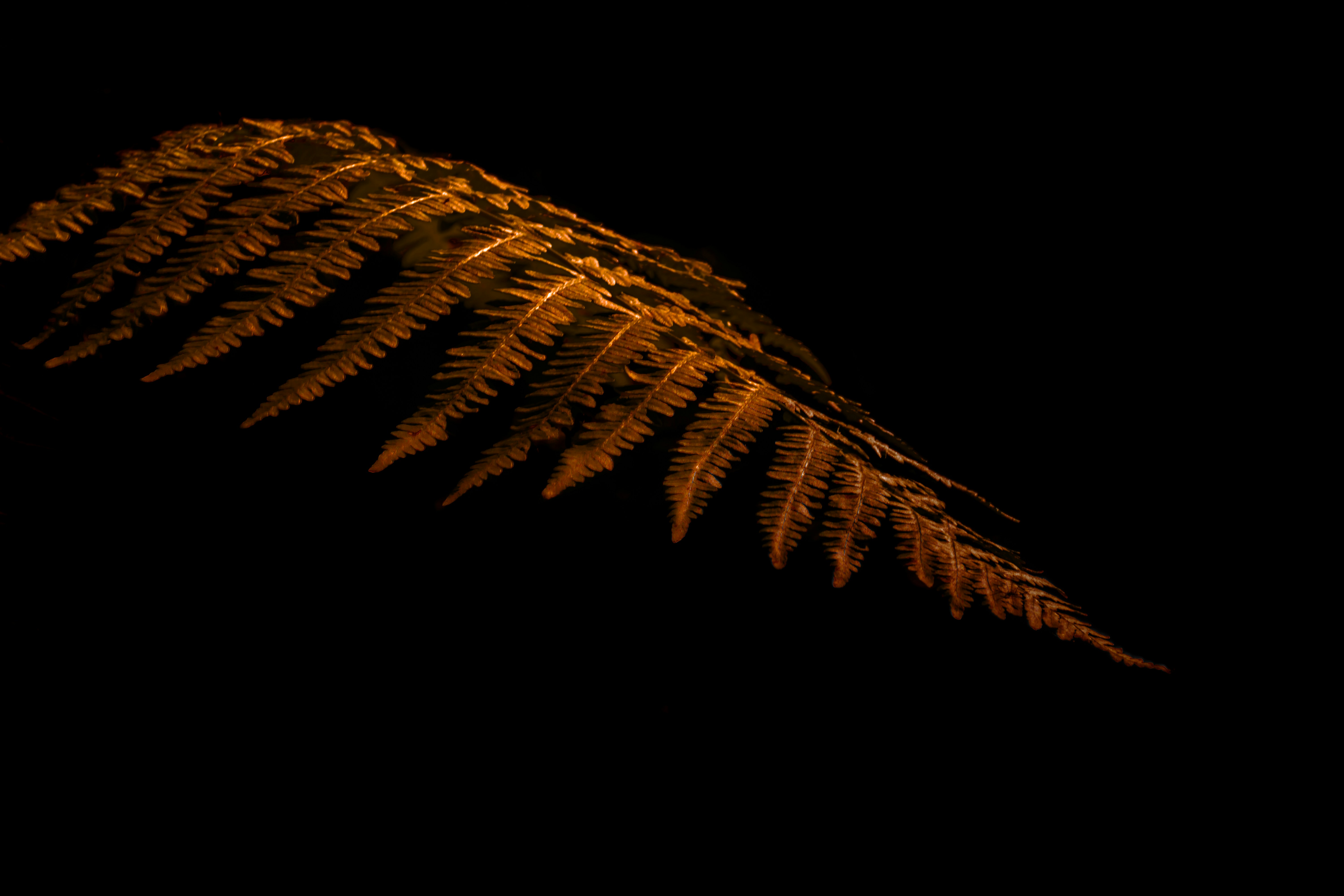 a mountain with a dark background