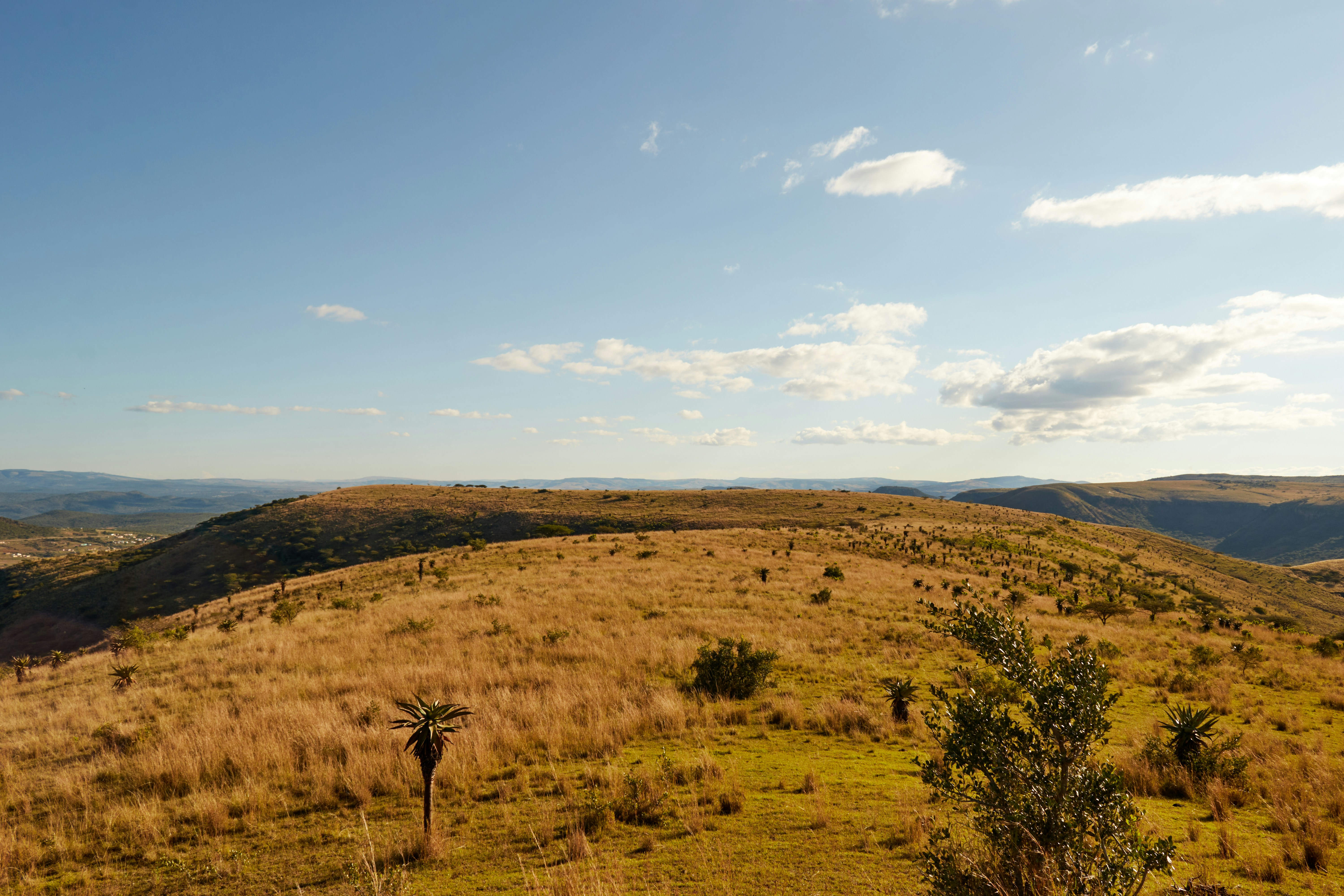 A landscape with hills and trees photo – Free Ulundi Image on Unsplash