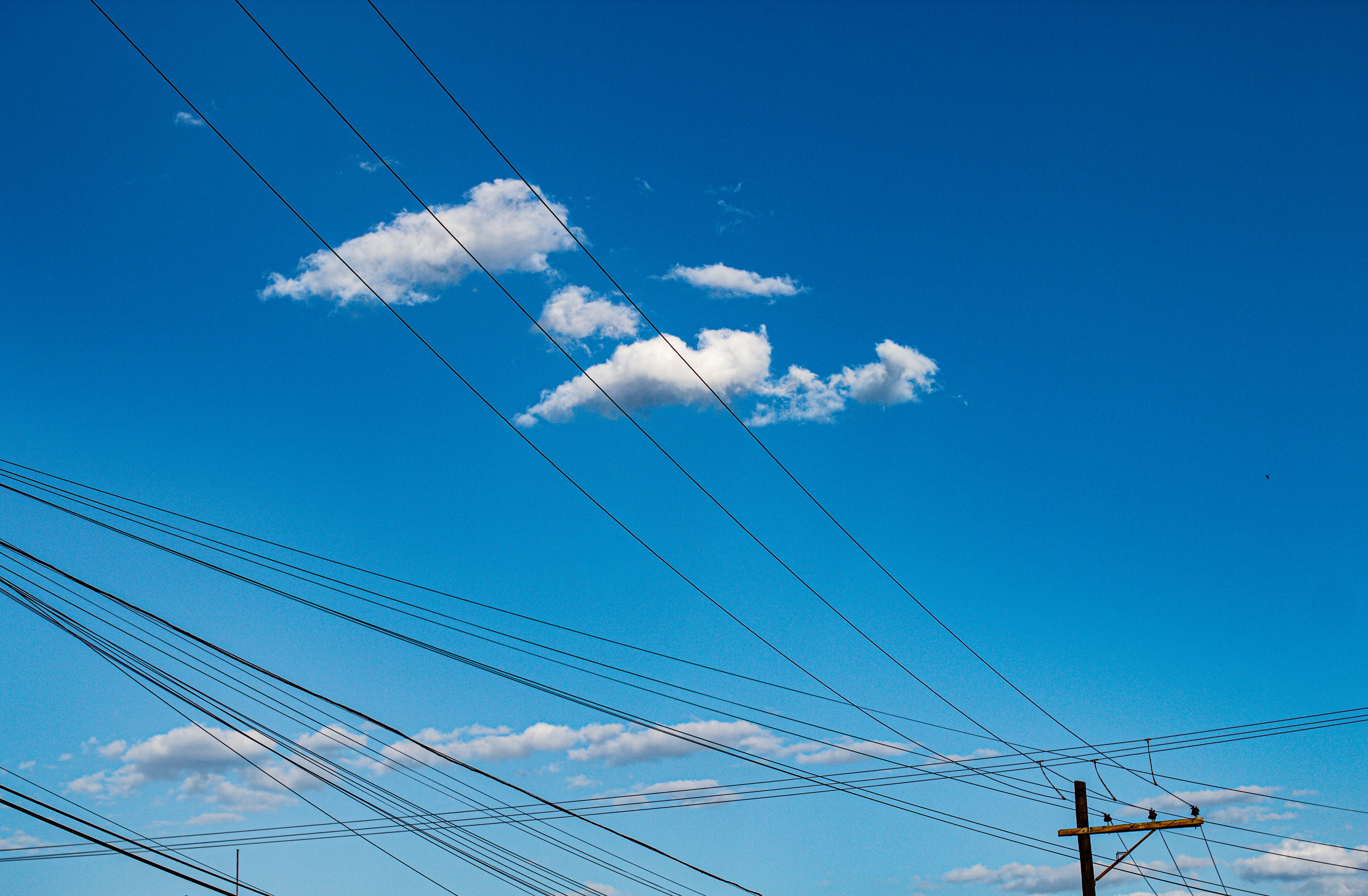 Photo by Andrés Giménez with Canon EOS 1300D