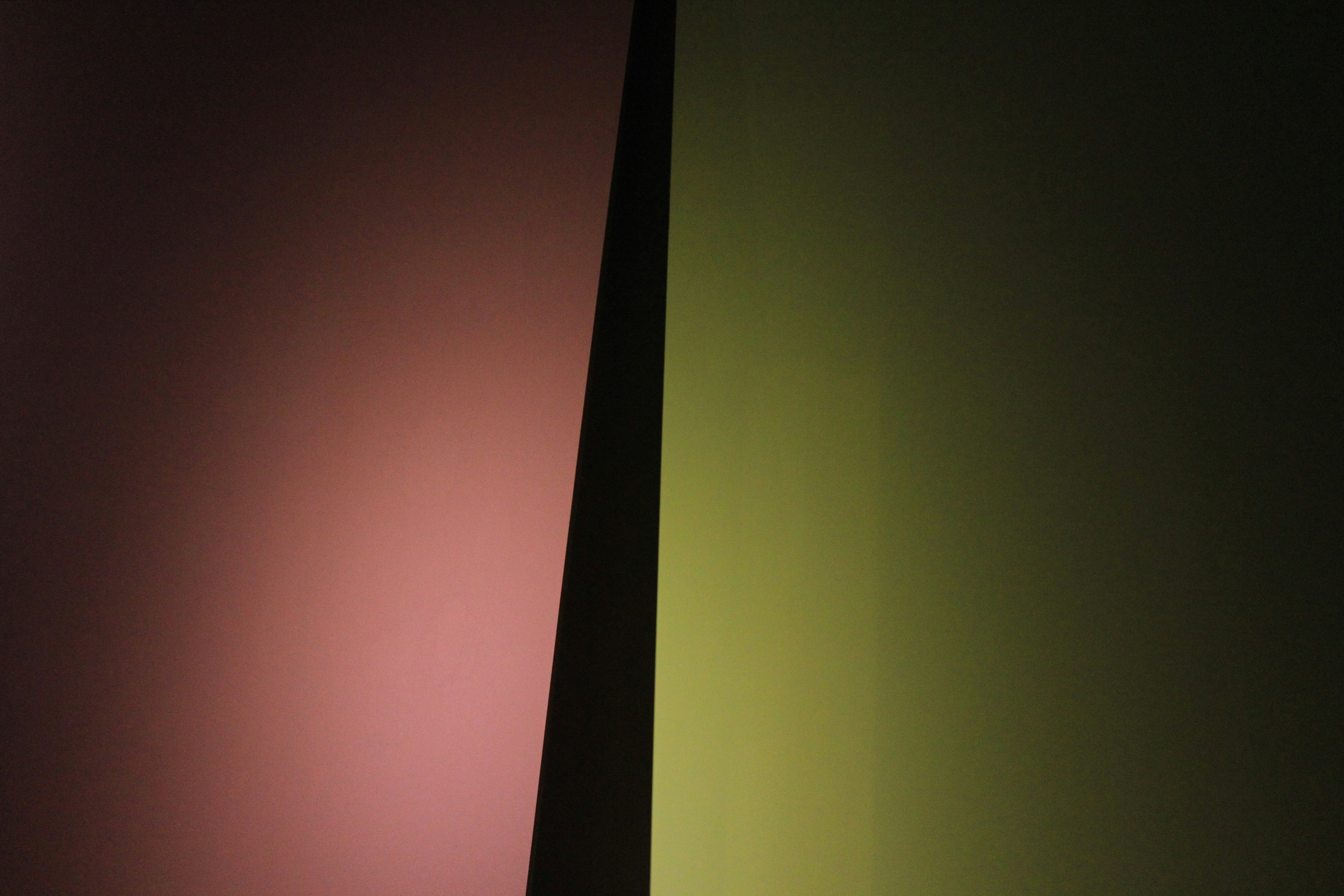 Photo by Drew Bae with Canon EOS 650D