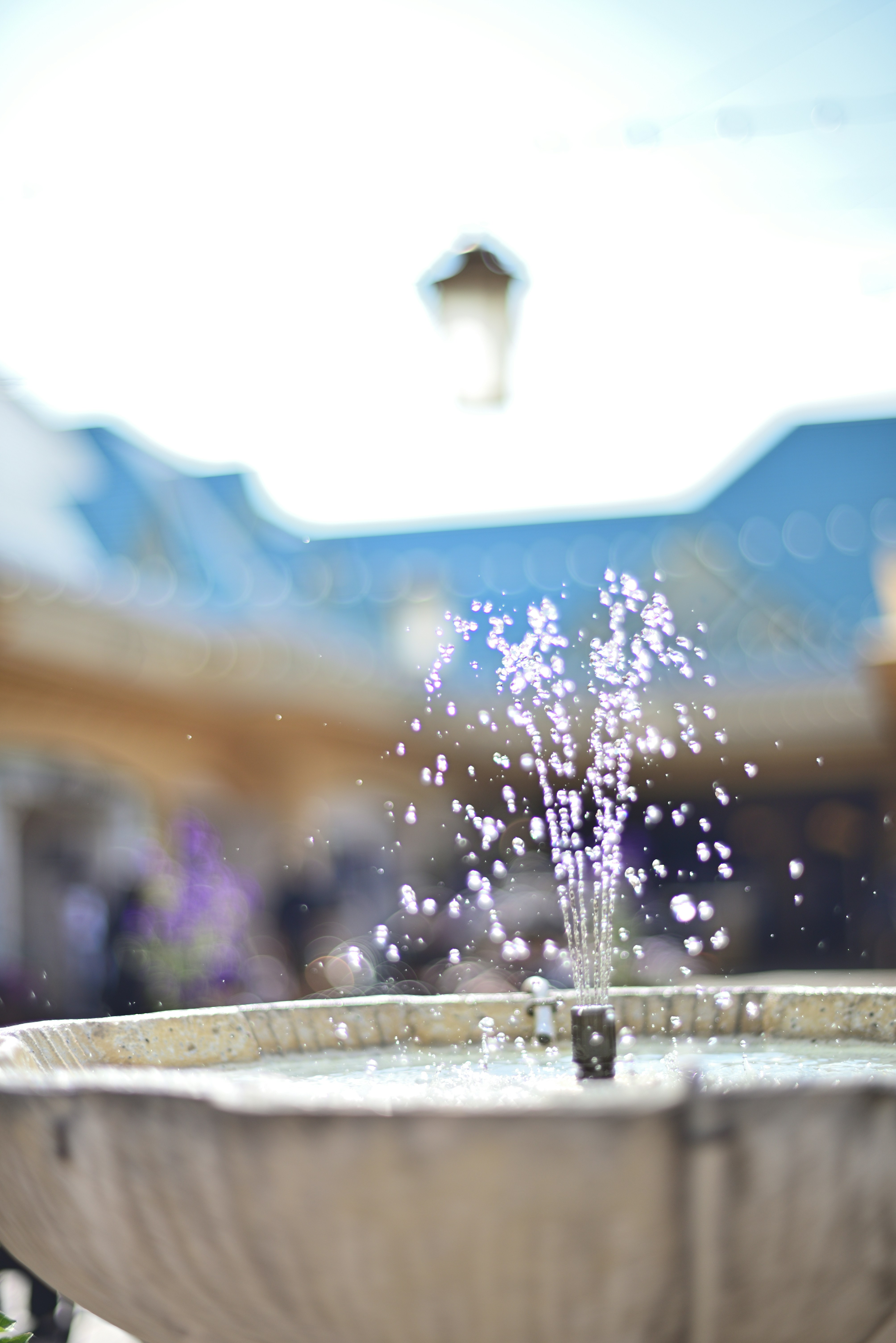 A fountain with water shooting up photo – Free Fountain Image on Unsplash