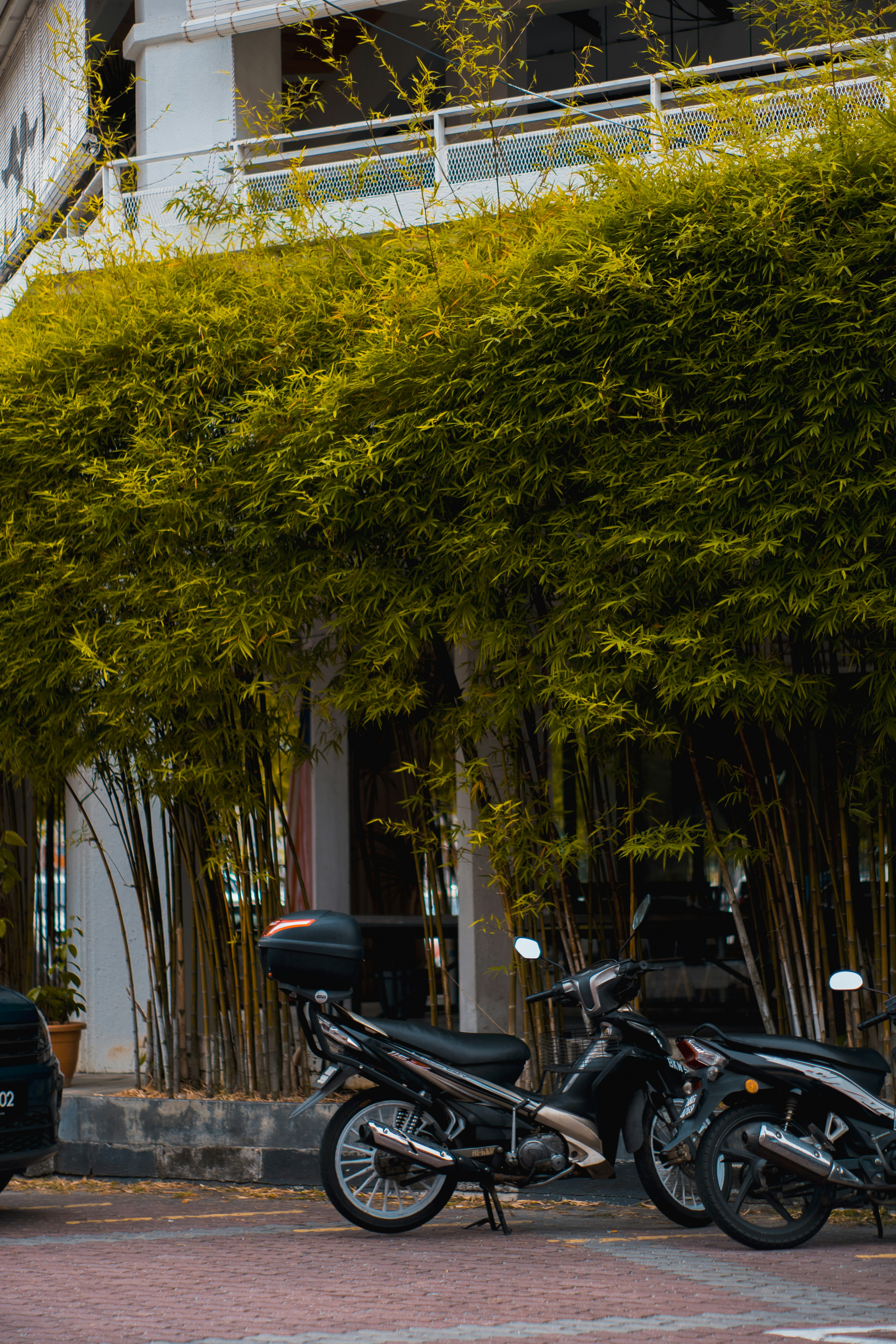 Motorcycle Courtyard Beneath Dappled Bamboo
