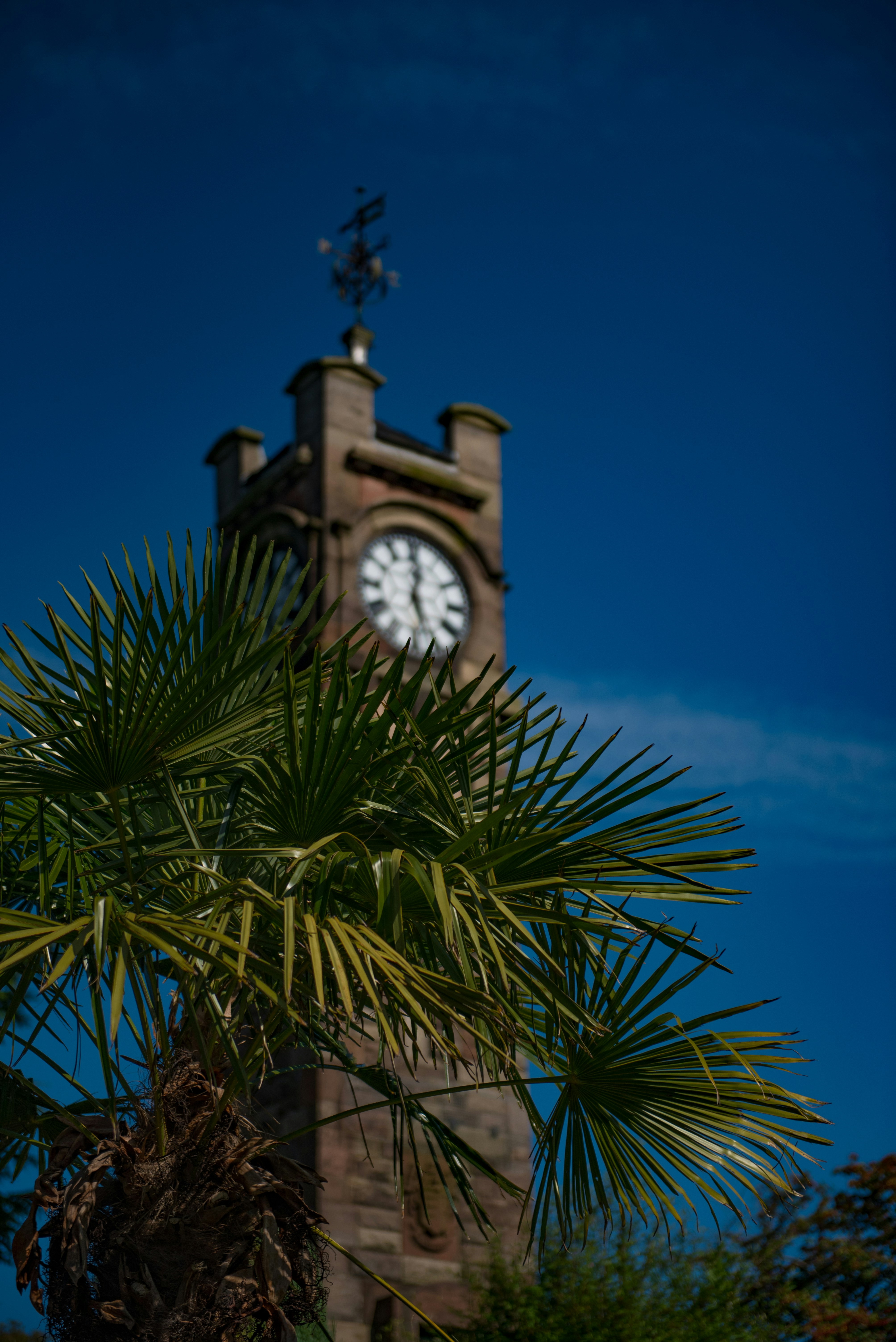 Palm-Frond Frame Elevates a Brick Clock Tower Under a Cerulean Sky