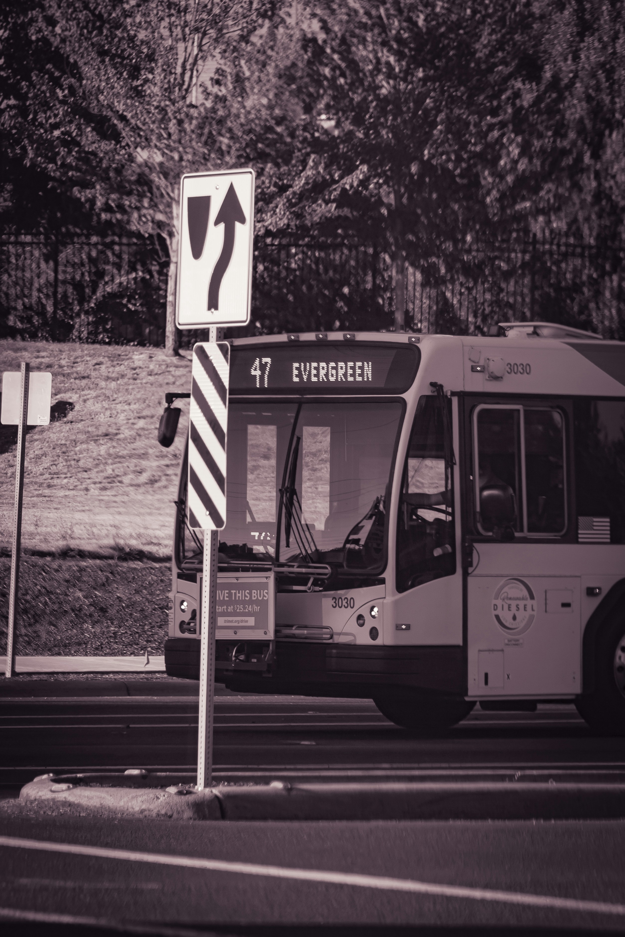 Sepia Transit at the Corner: Bus Front Framed by a Striped Sign