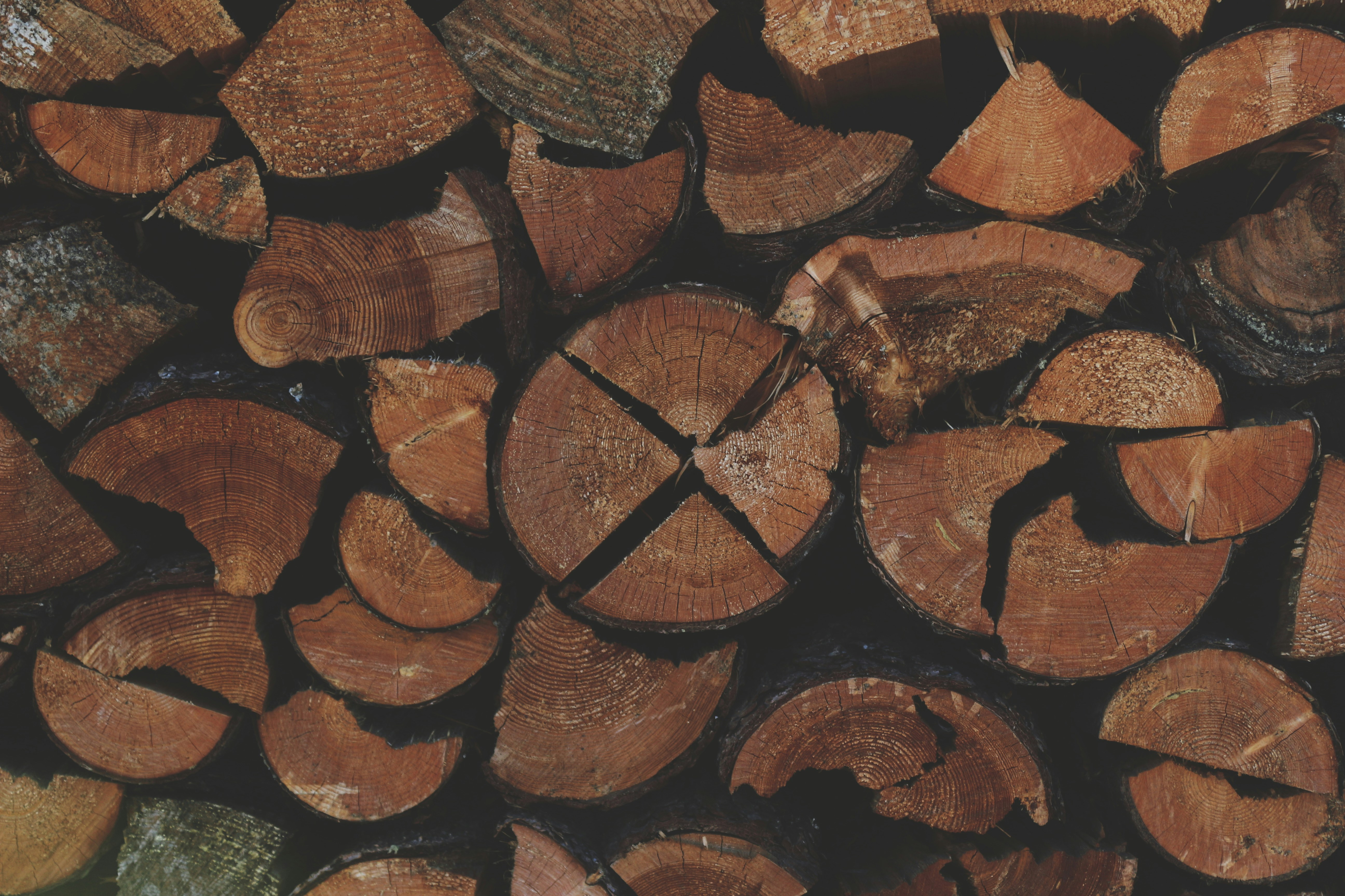 Natural Wood Pictures | Download Free Images on Unsplash