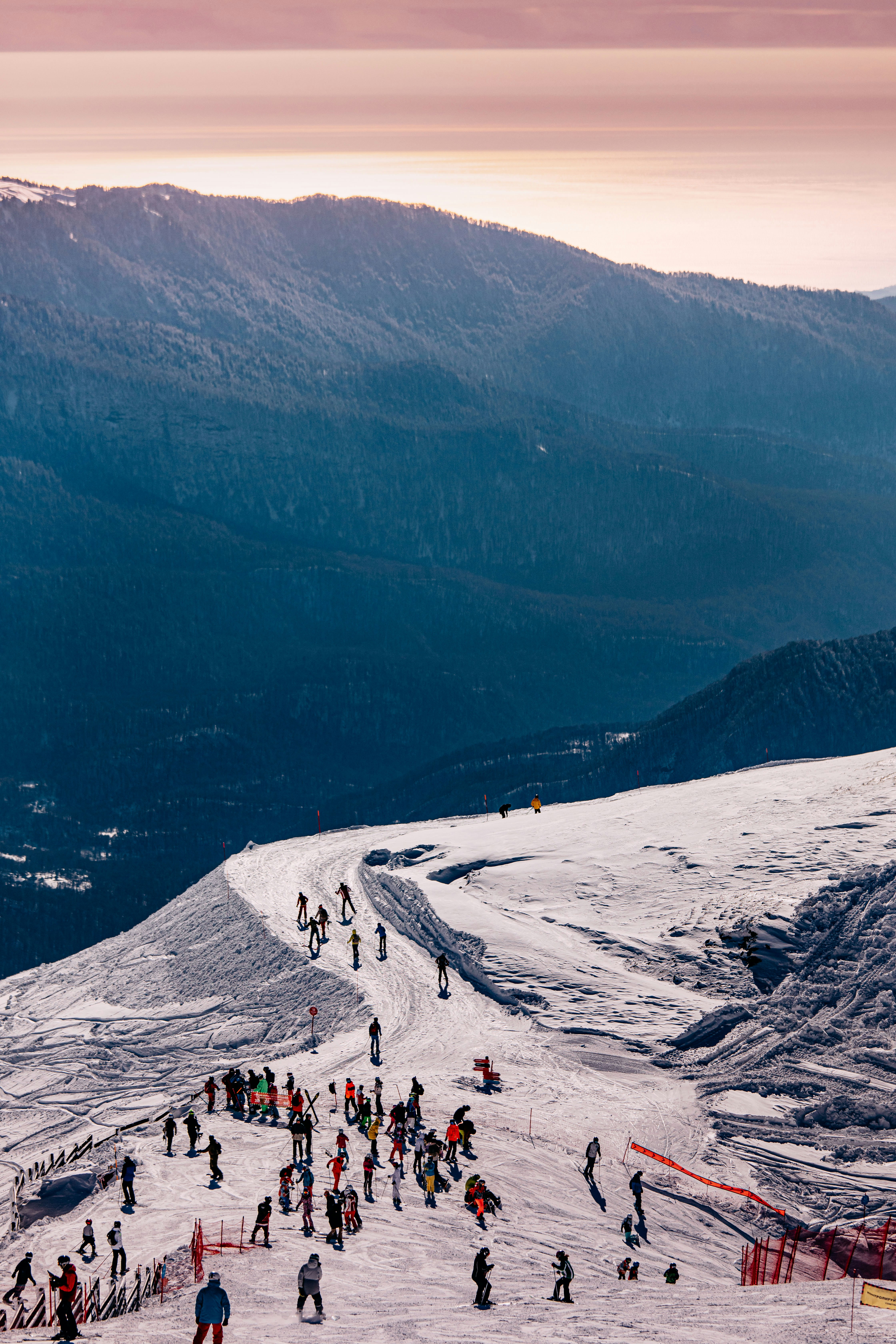 A large group of people ski down a mountain photo – Free Human Image on ...