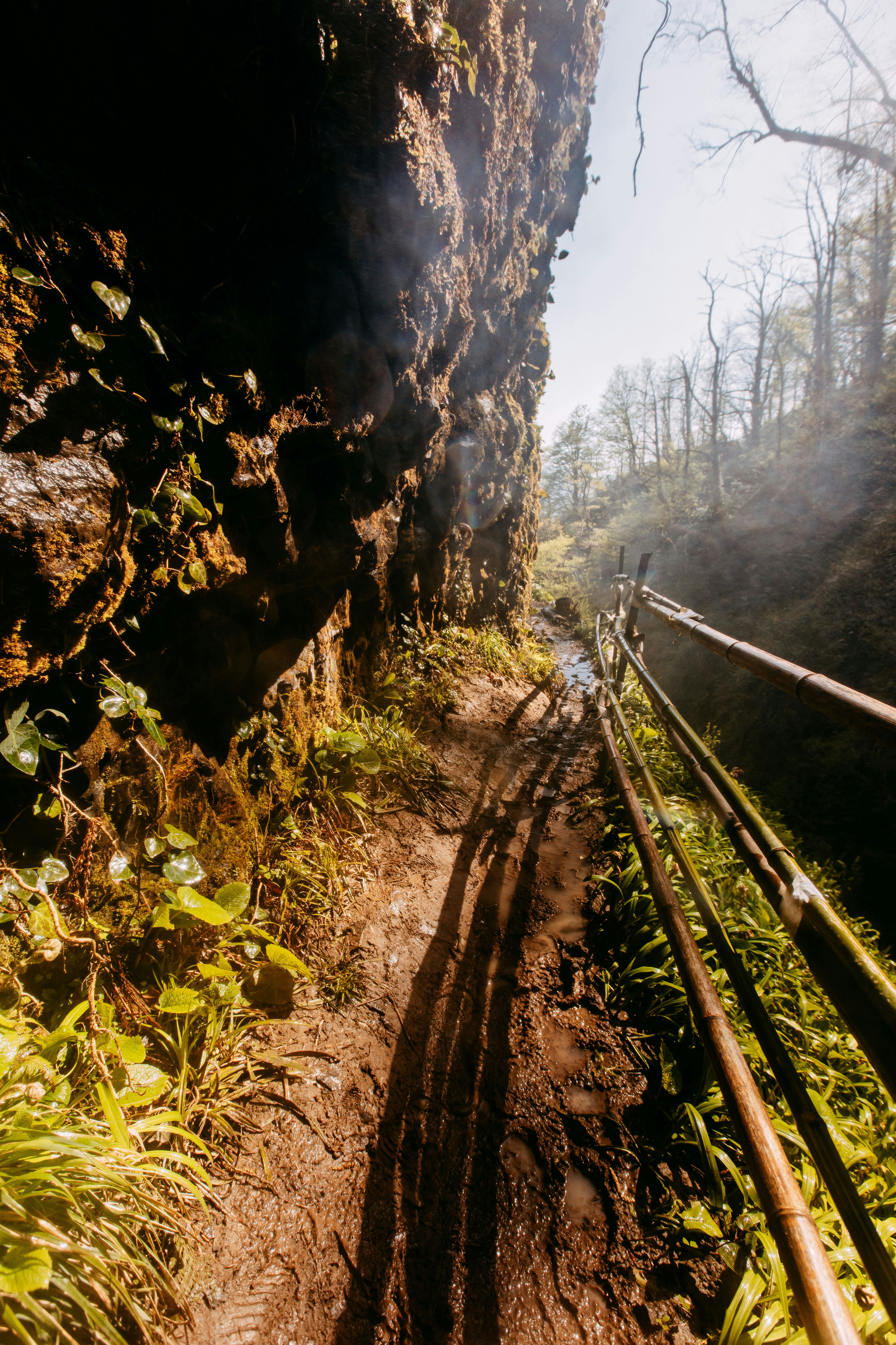Sun-Dappled Cliffside Trail: Mud, Railings, and Quiet Light