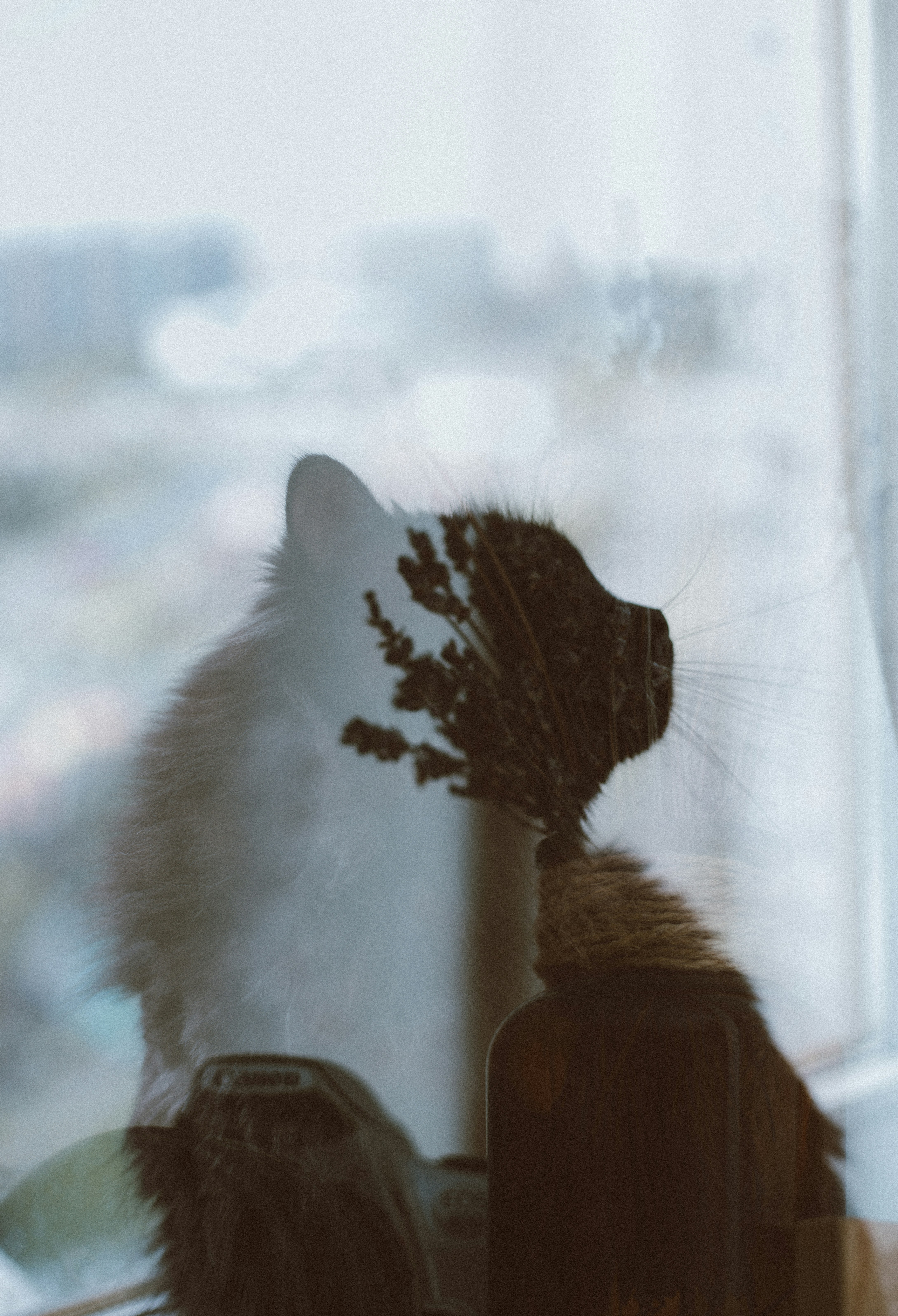 Variable Pictures | Download Free Images on Unsplash