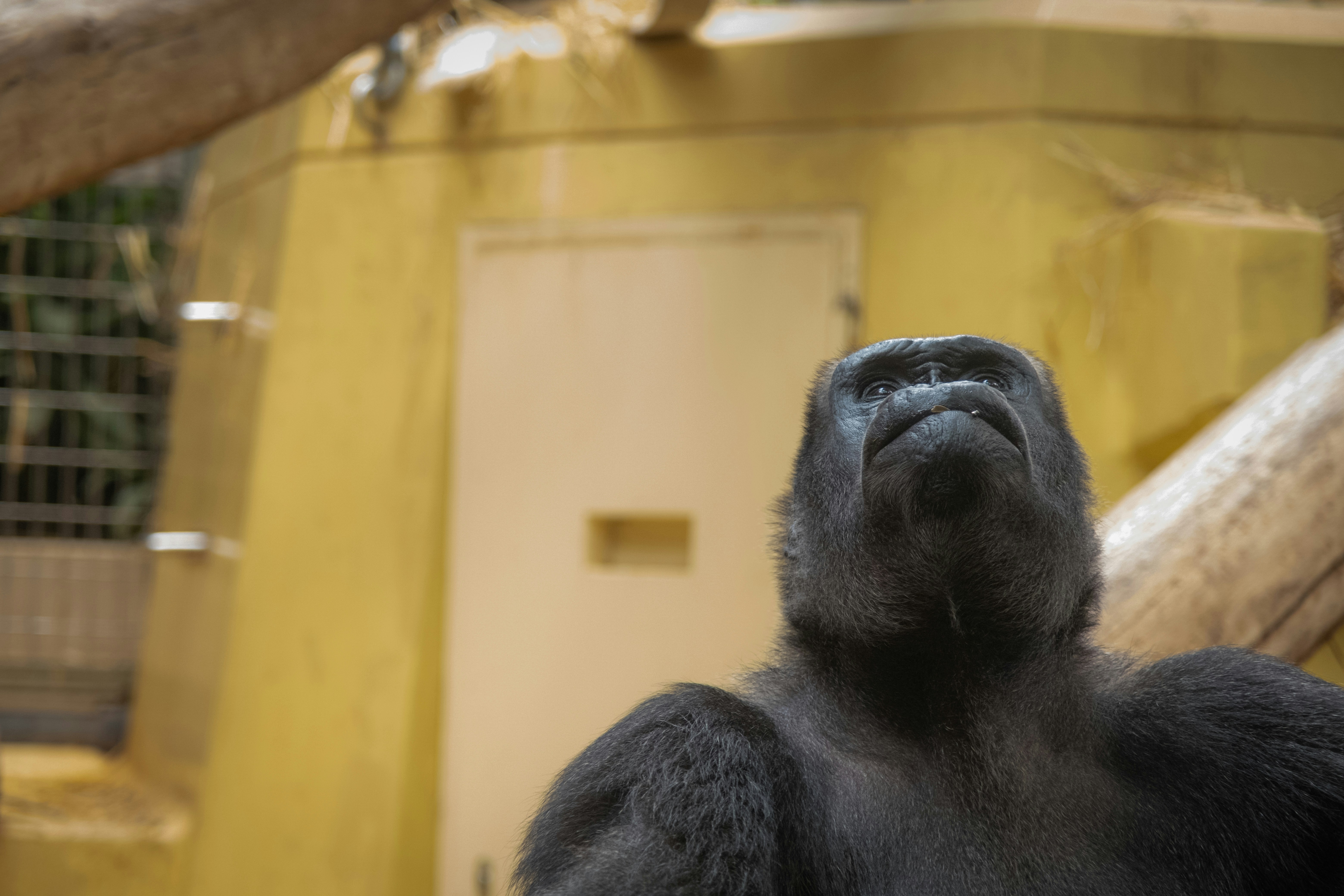 Marvin Tangga-An (@tmarvin) | Communauté photos Unsplash