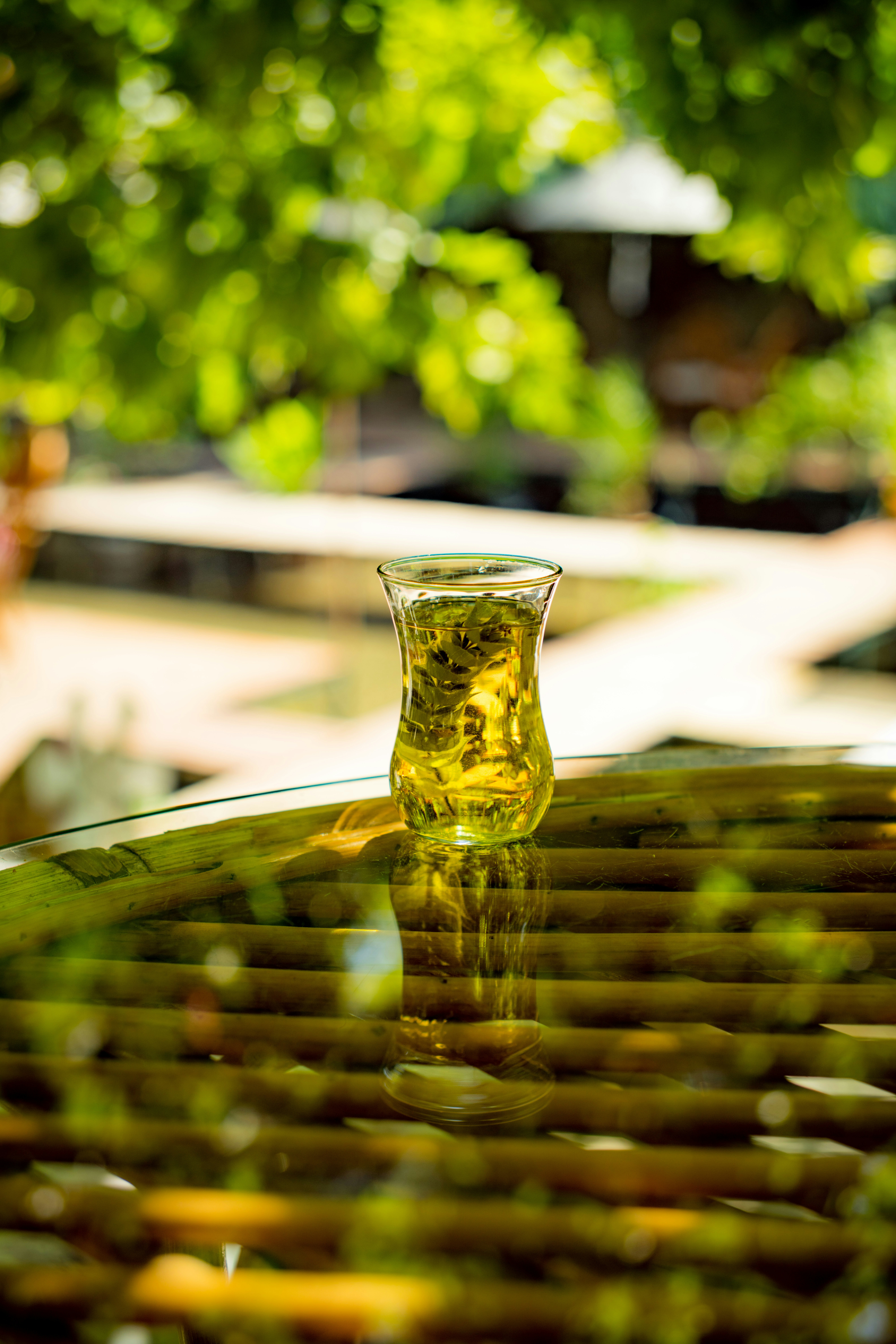 Amber Glass, Green Reverie: Reflections on a Garden Table