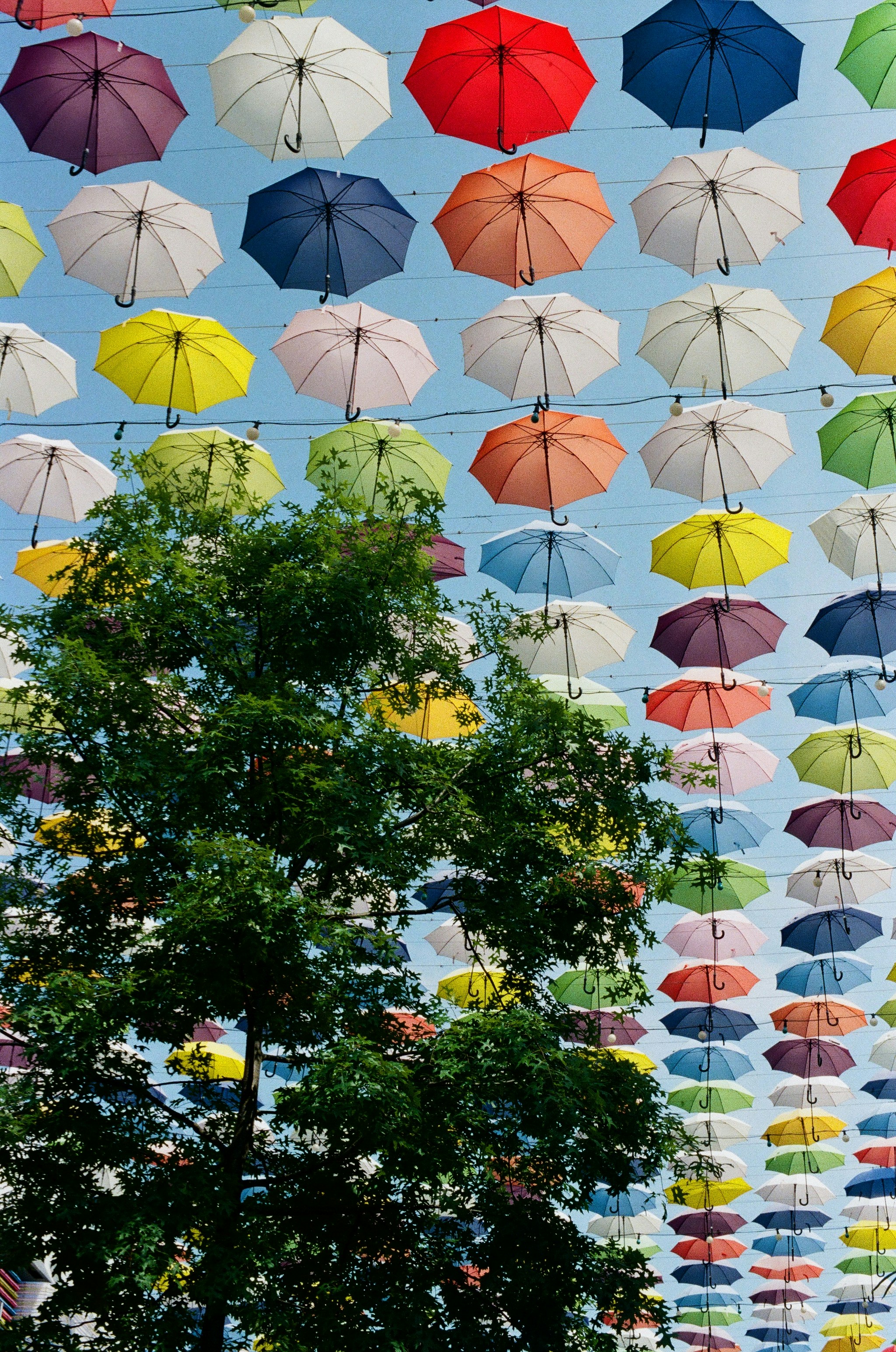A group of umbrellas are from a ceiling photo – Free Sky Image on Unsplash