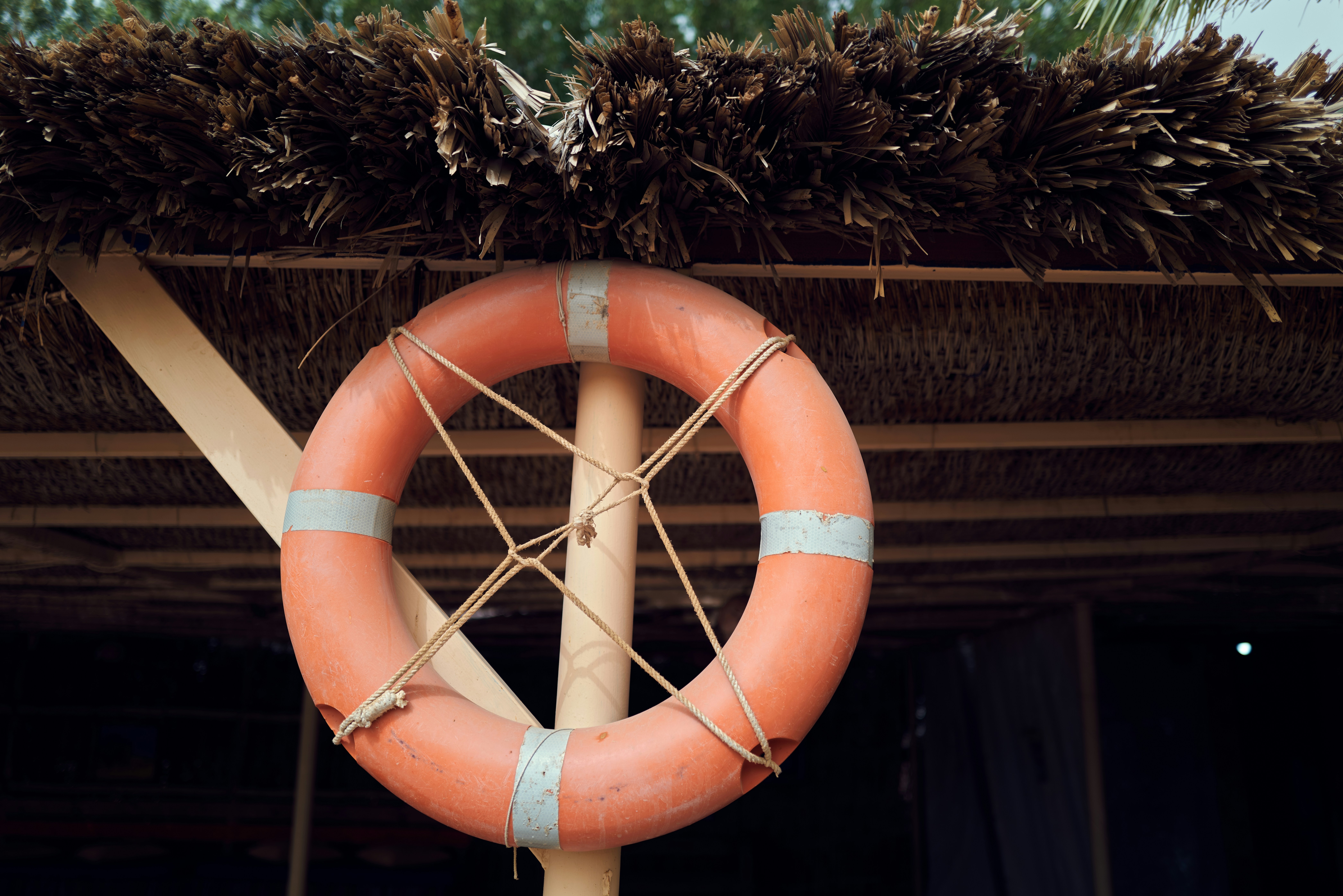 Lifebuoy on a Quiet Shorefront