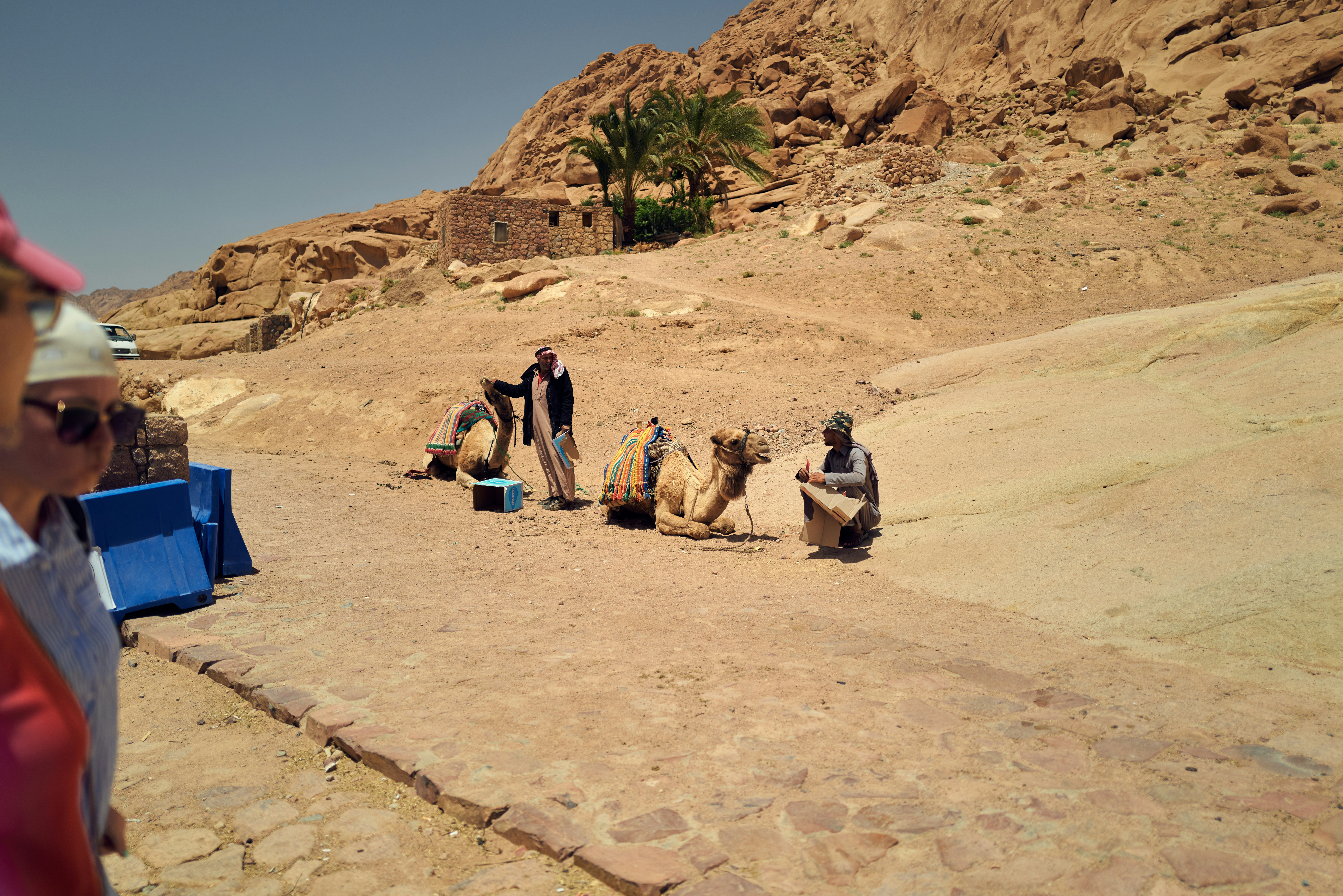 Panorama of Mount Sinai in Egypt. Dawn of the holy summit