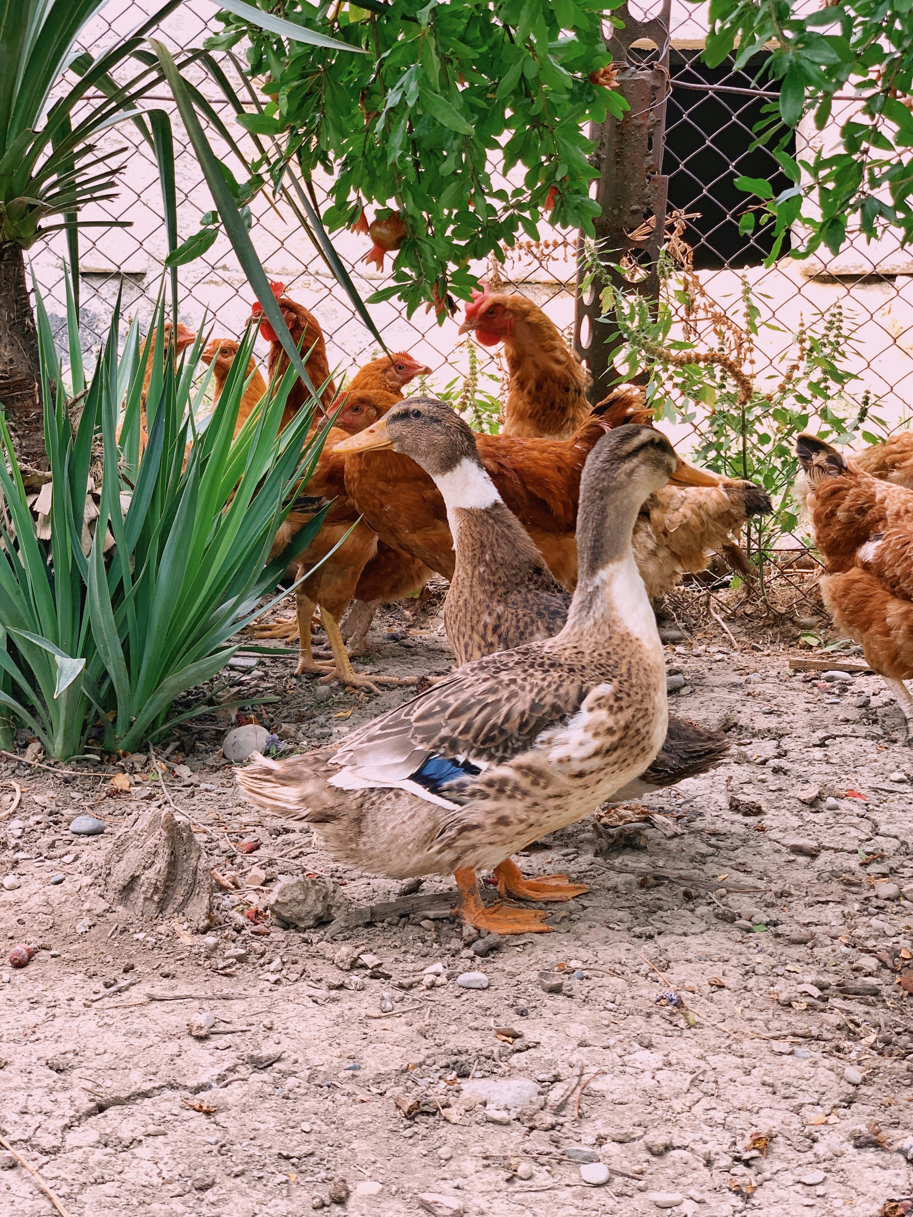 Photo by tatia brachuli with Apple iPhone XS