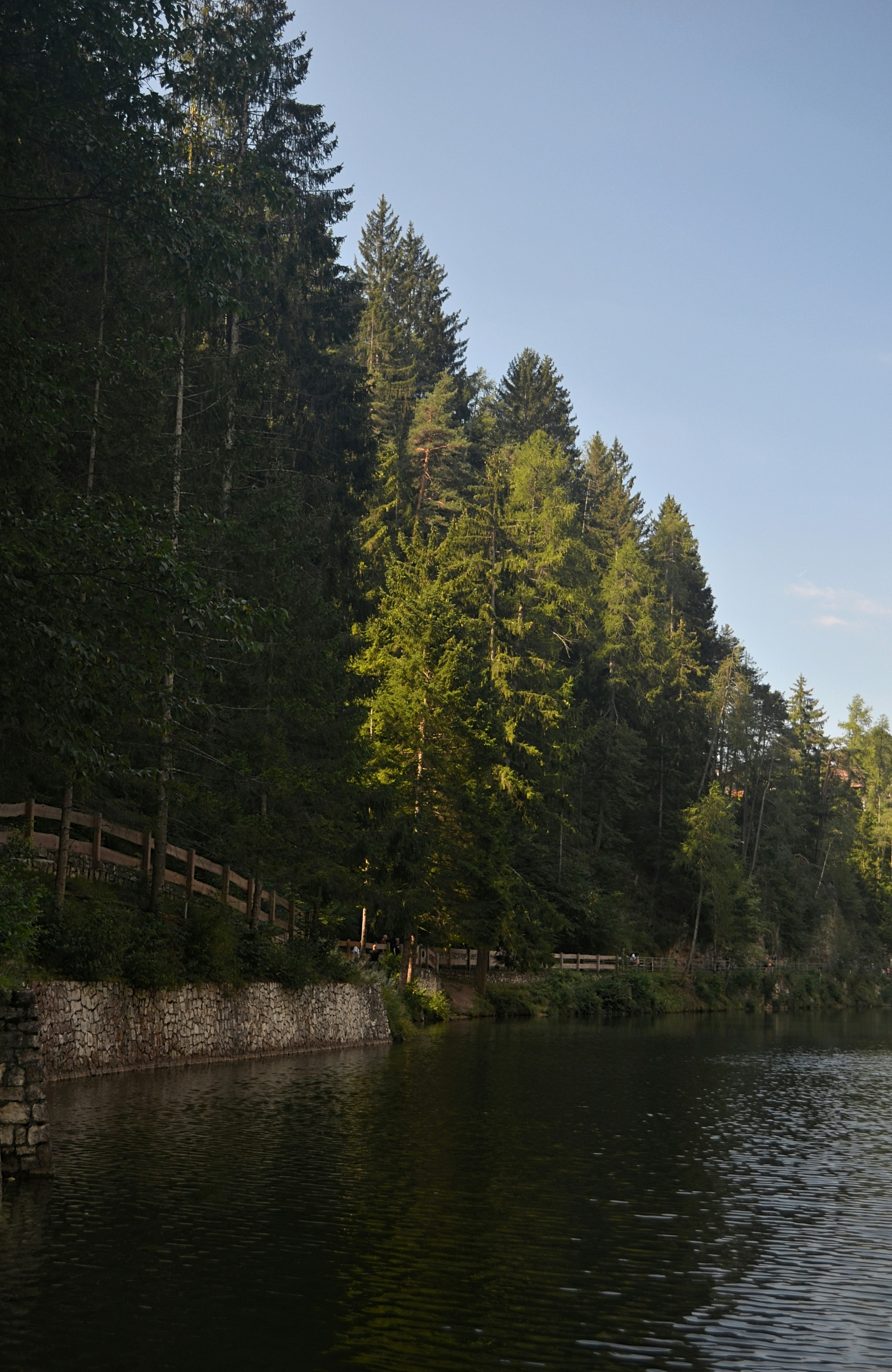 Lush green trees line a tranquil lake, capturing the peaceful interplay of light and water. A wooden path meanders along the shore.