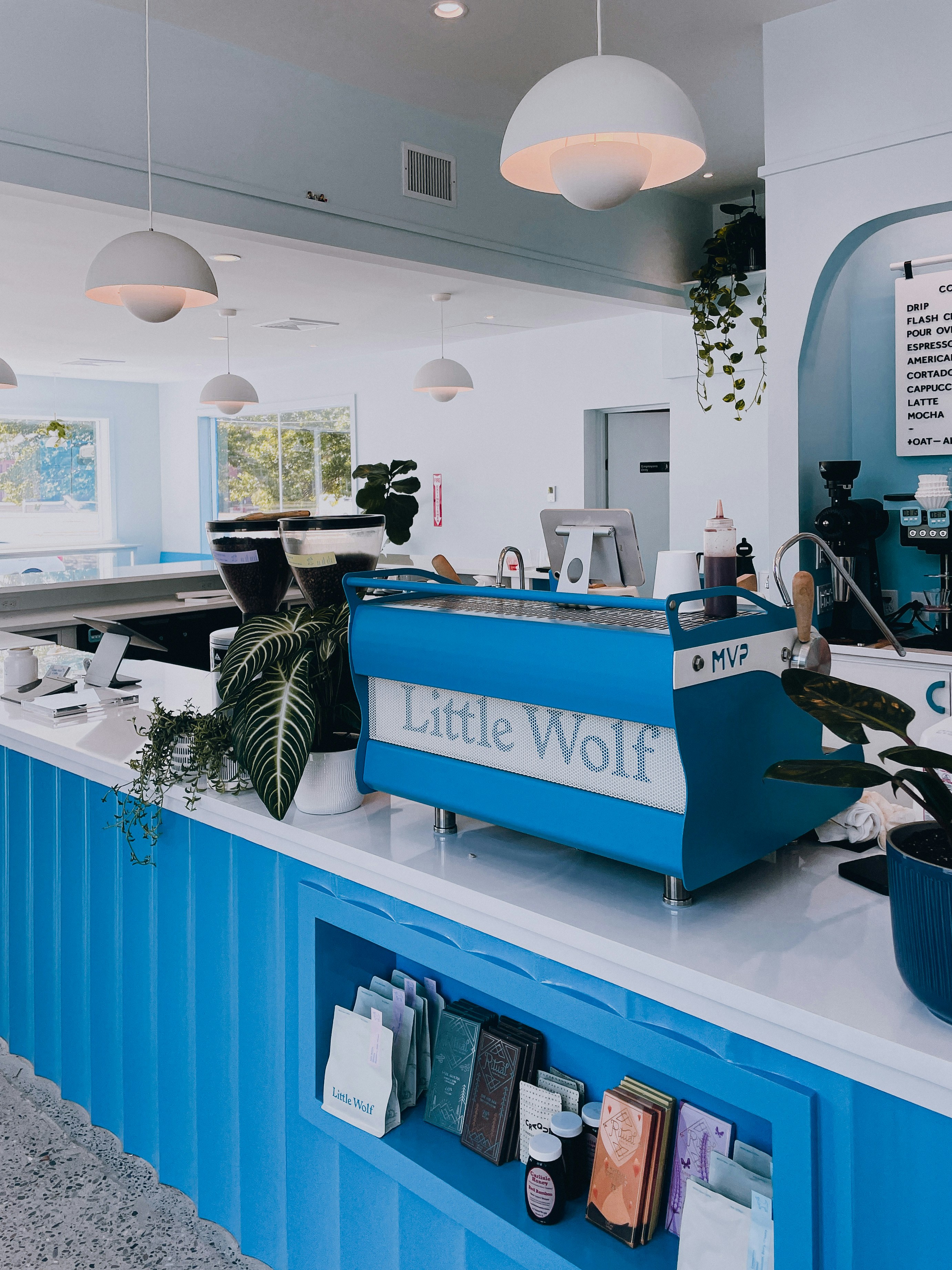 A Splash of Blue: The Heart of Little Wolf Café