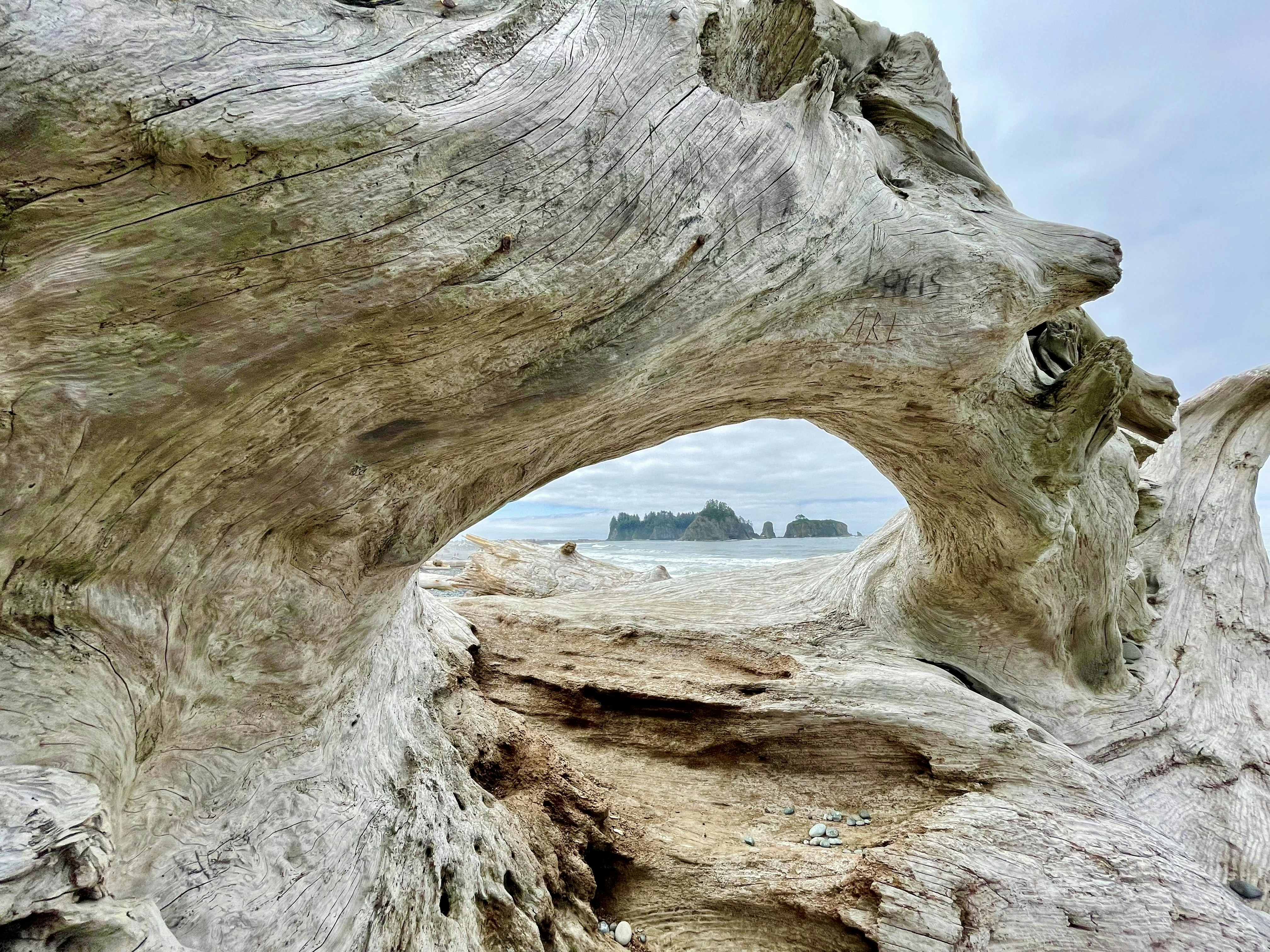 Nature's Framed Gateway to the Sea