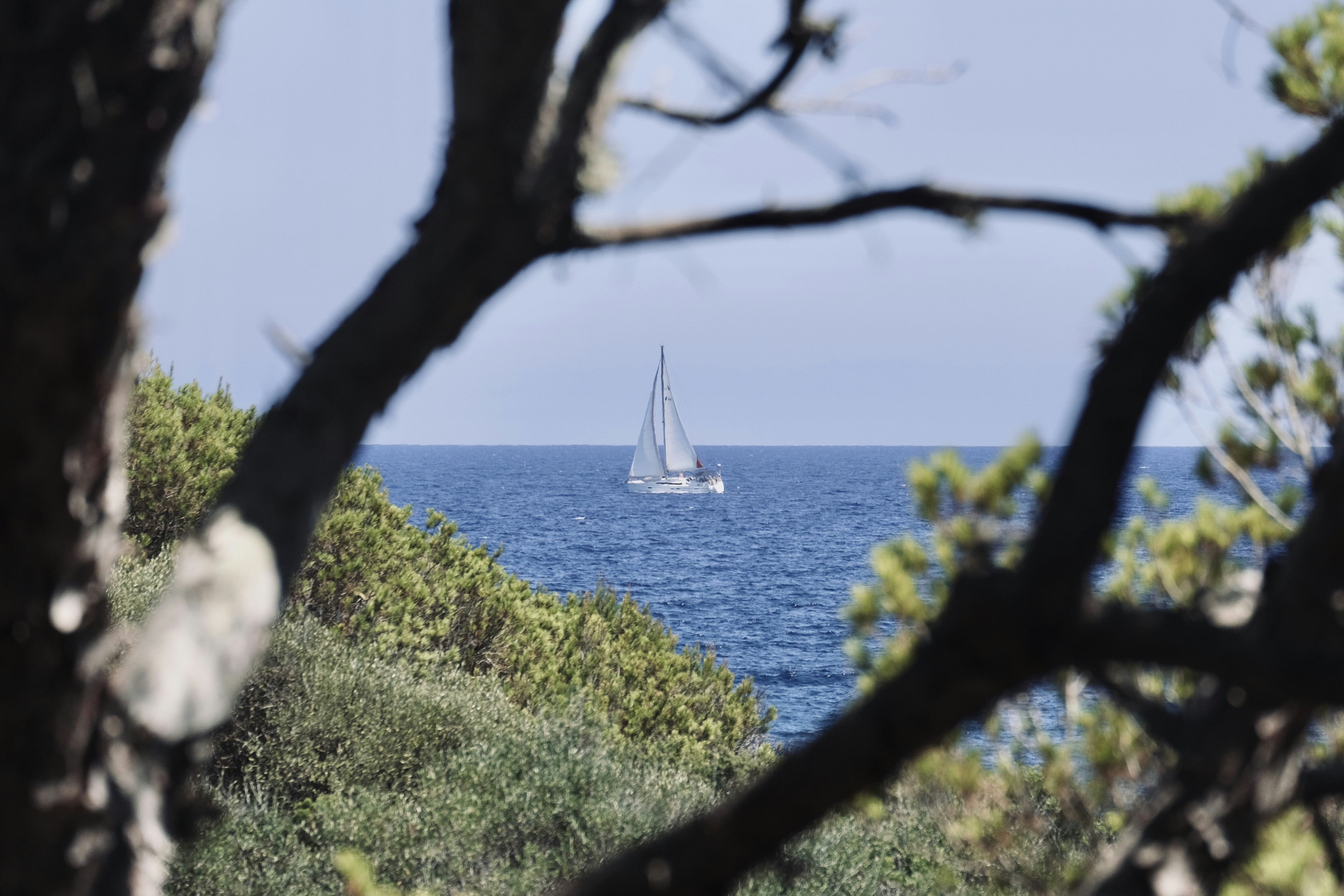 Foto zum Thema Ein Segelboot im Wasser – Kostenloses Bild zu Mallorca ...