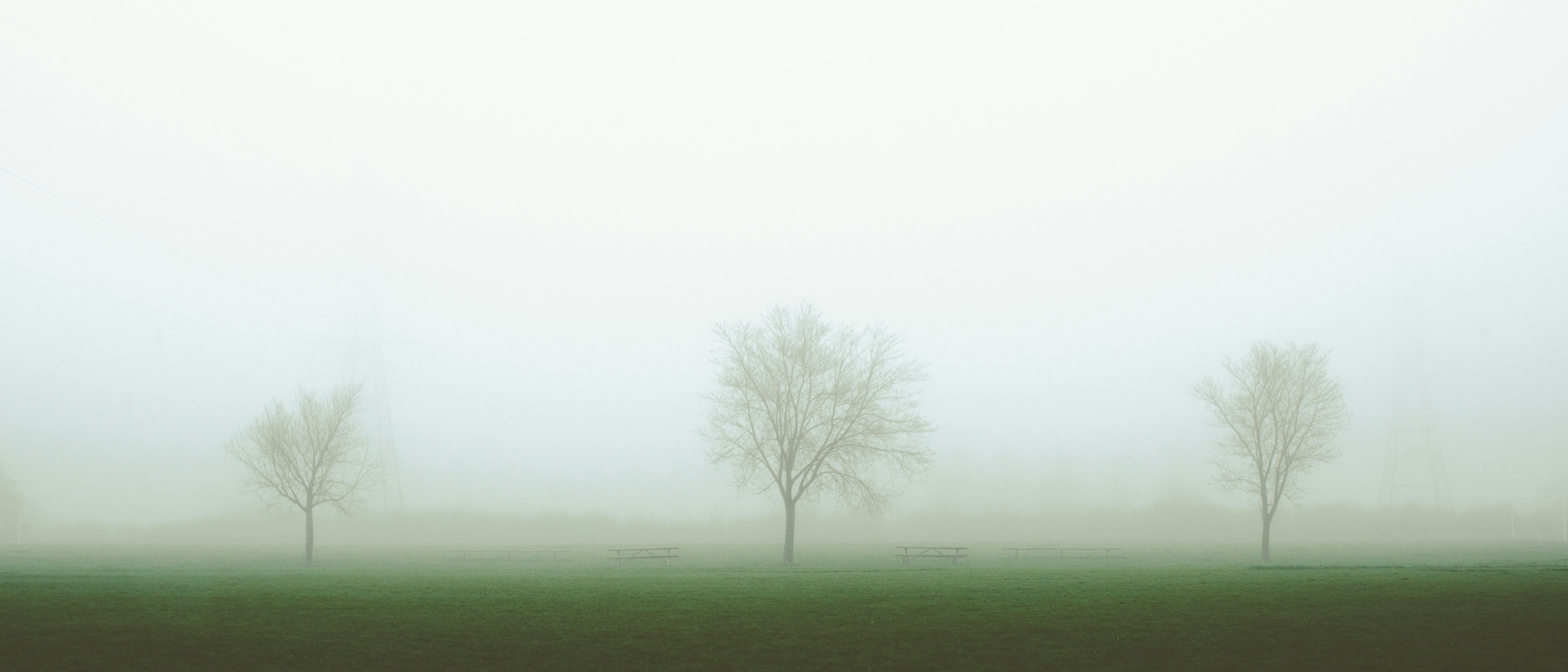 A foggy field with trees photo – Free Nature Image on Unsplash