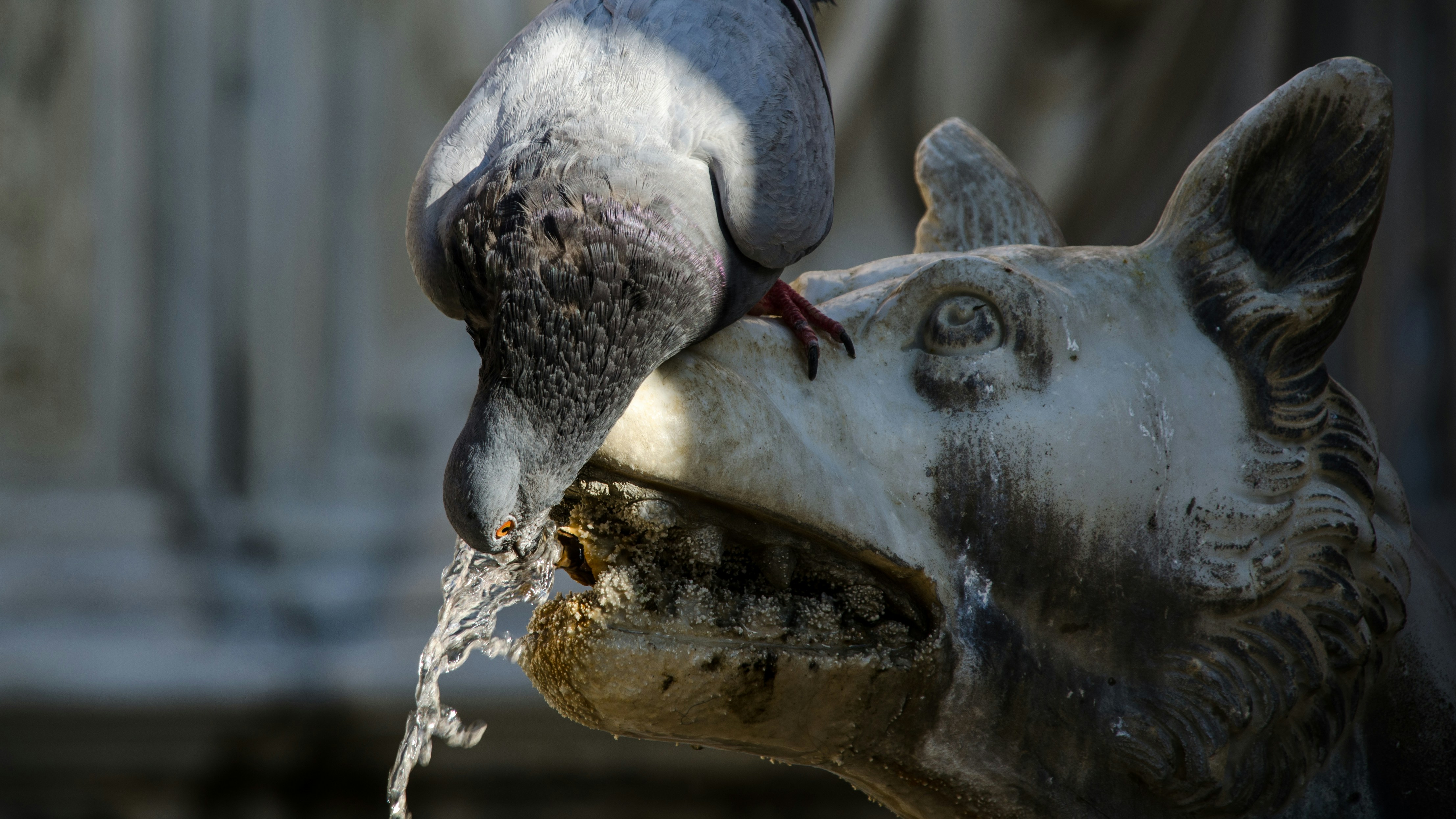 Photo by Ammar ElAmir with Nikon D5100