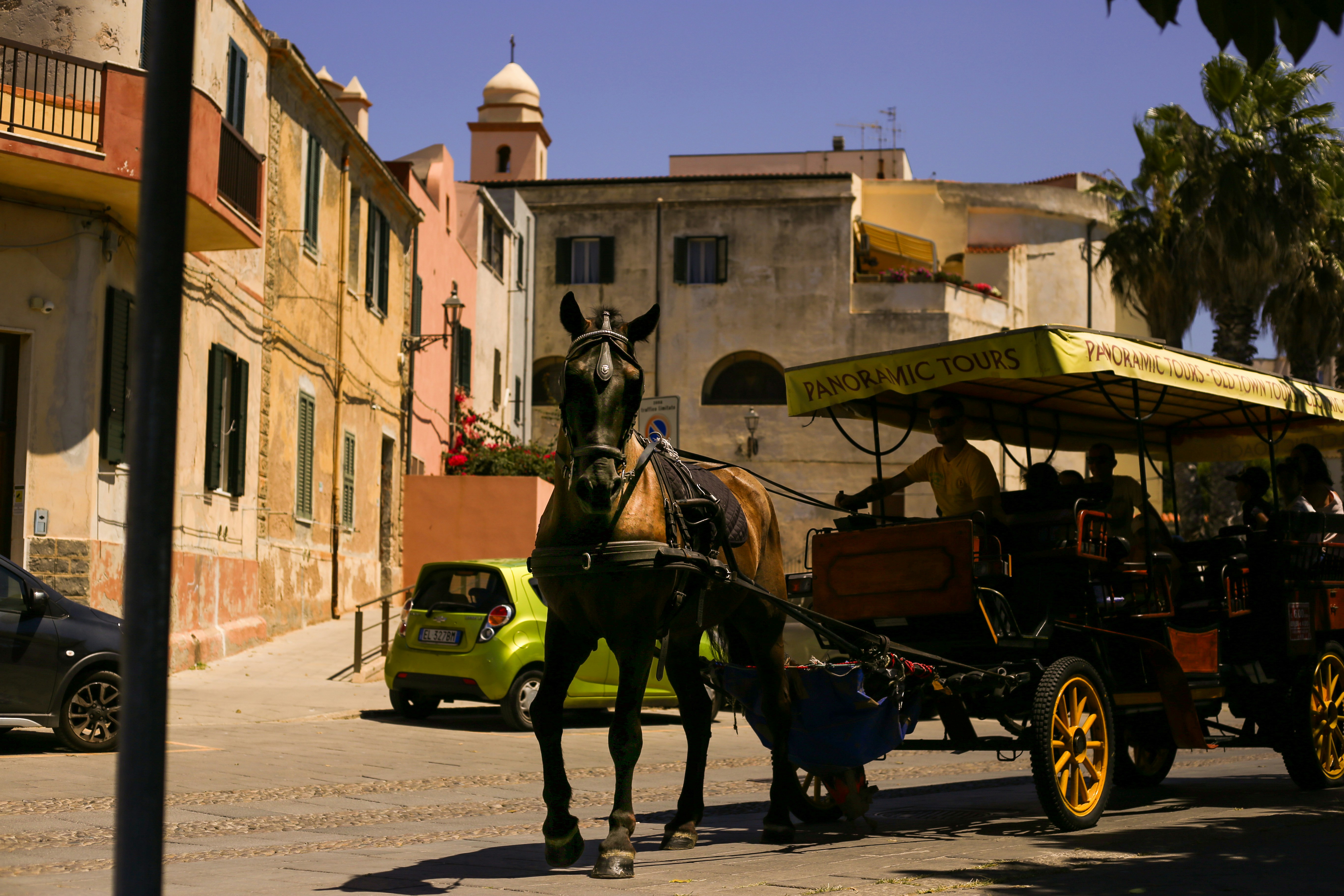 Horse-drawn carriage on a sunlit street in front of colorful buildings.