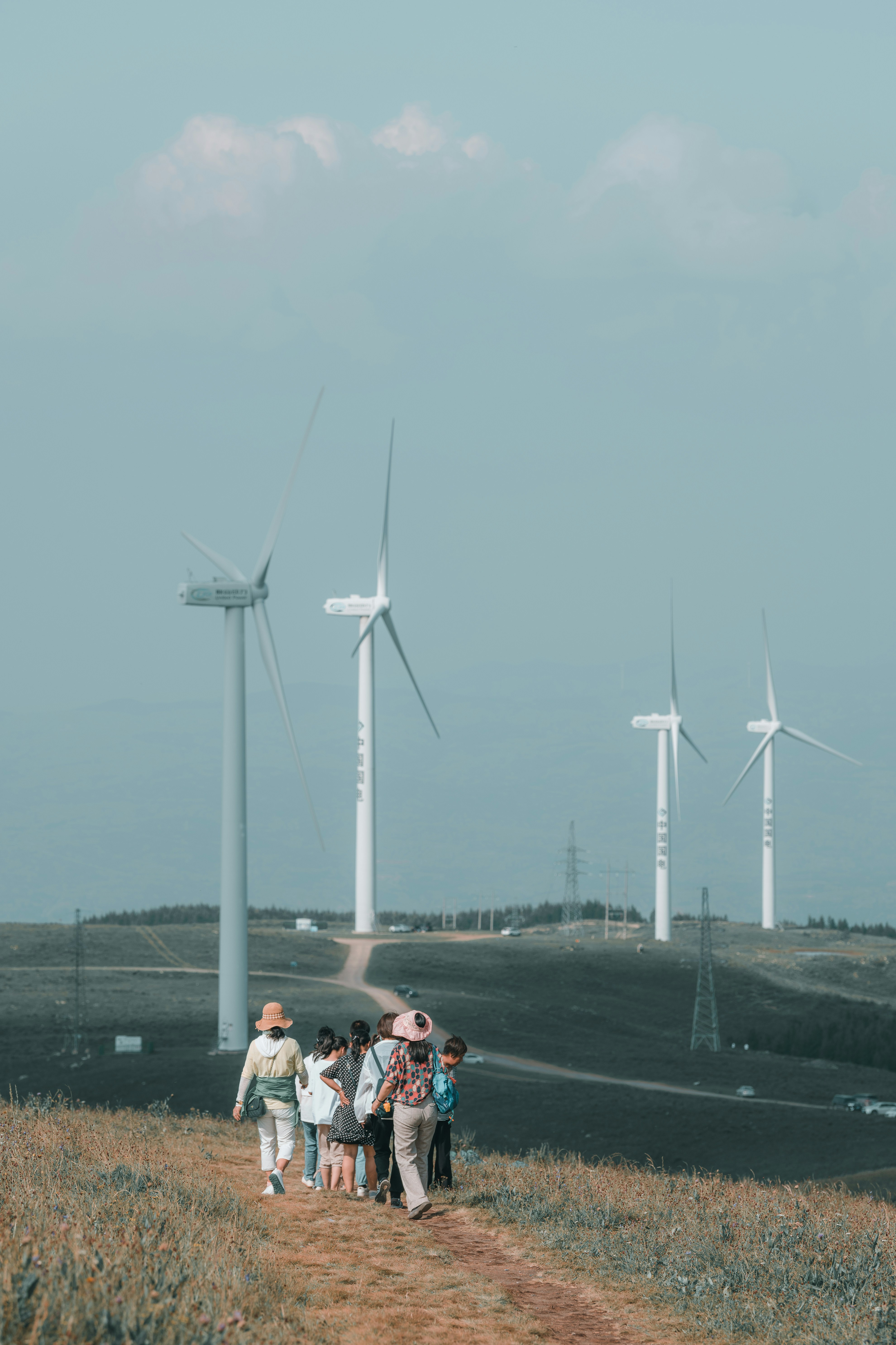 A group of people standing in front of windmills photo – Free Human ...