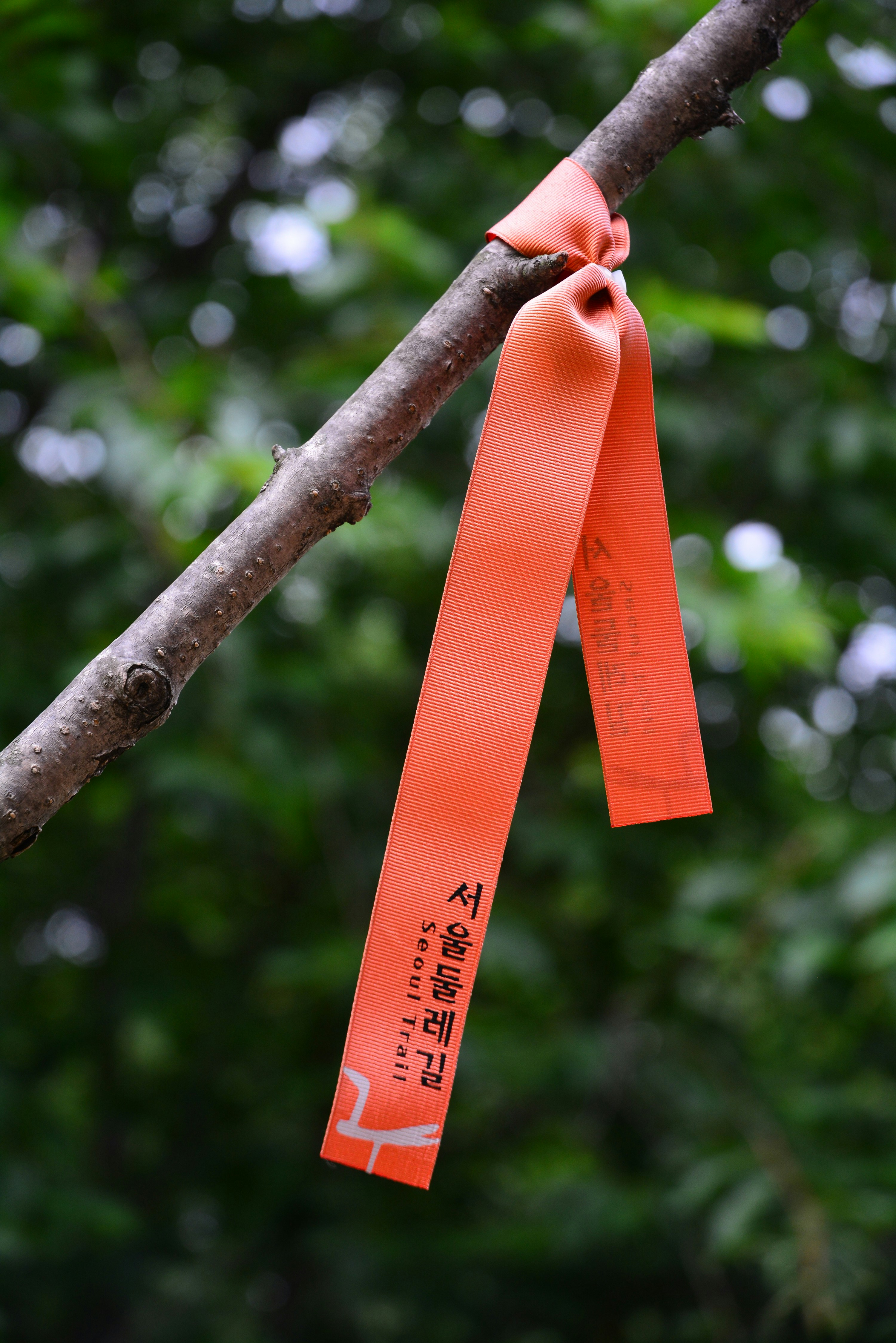 An orange ribbon tied to a branch, featuring Korean text, symbolizing a connection to nature. The blurred green background enhances the focus on the ribbon.