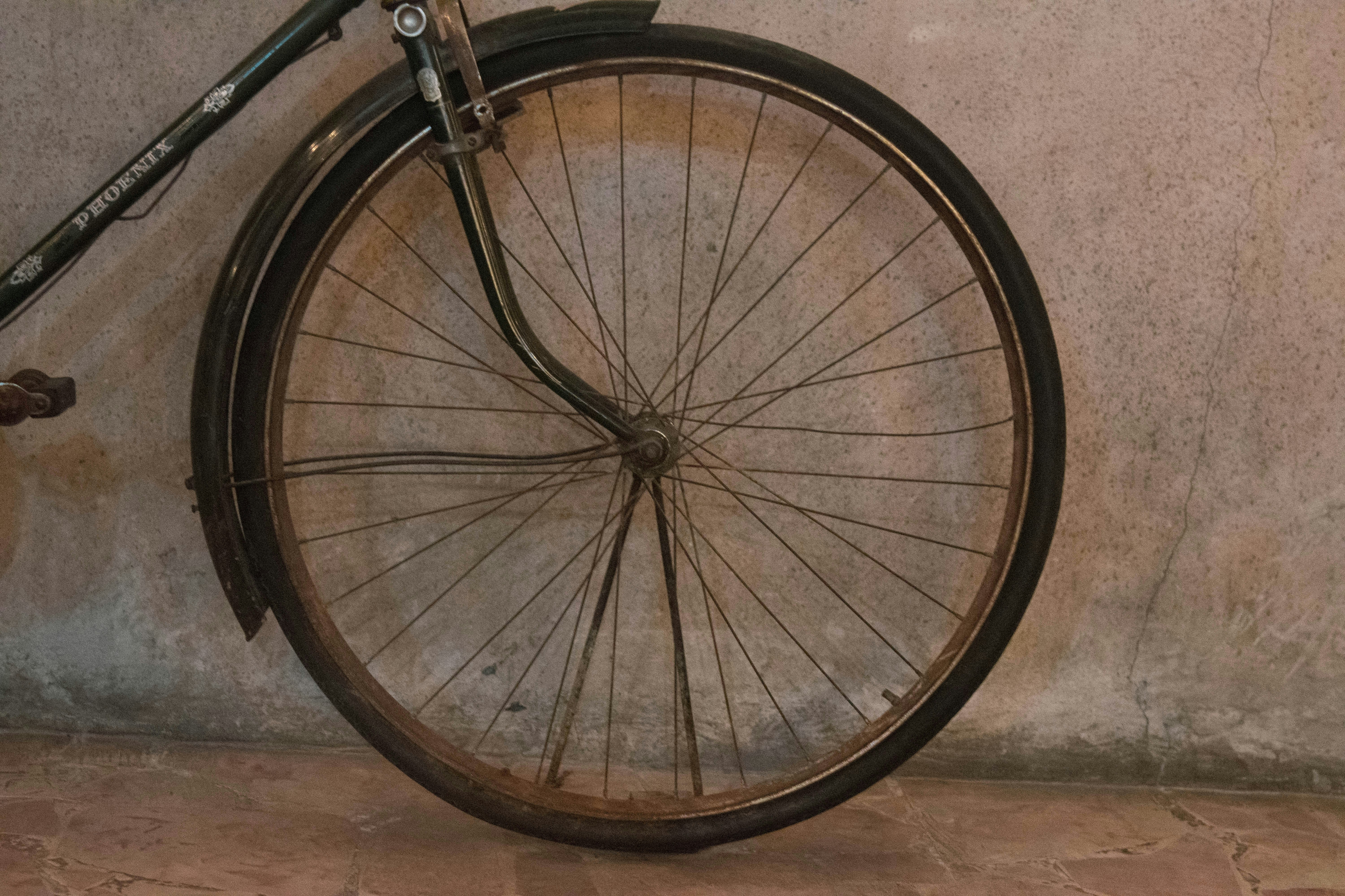 Photo by yasara hansani with Nikon D5600