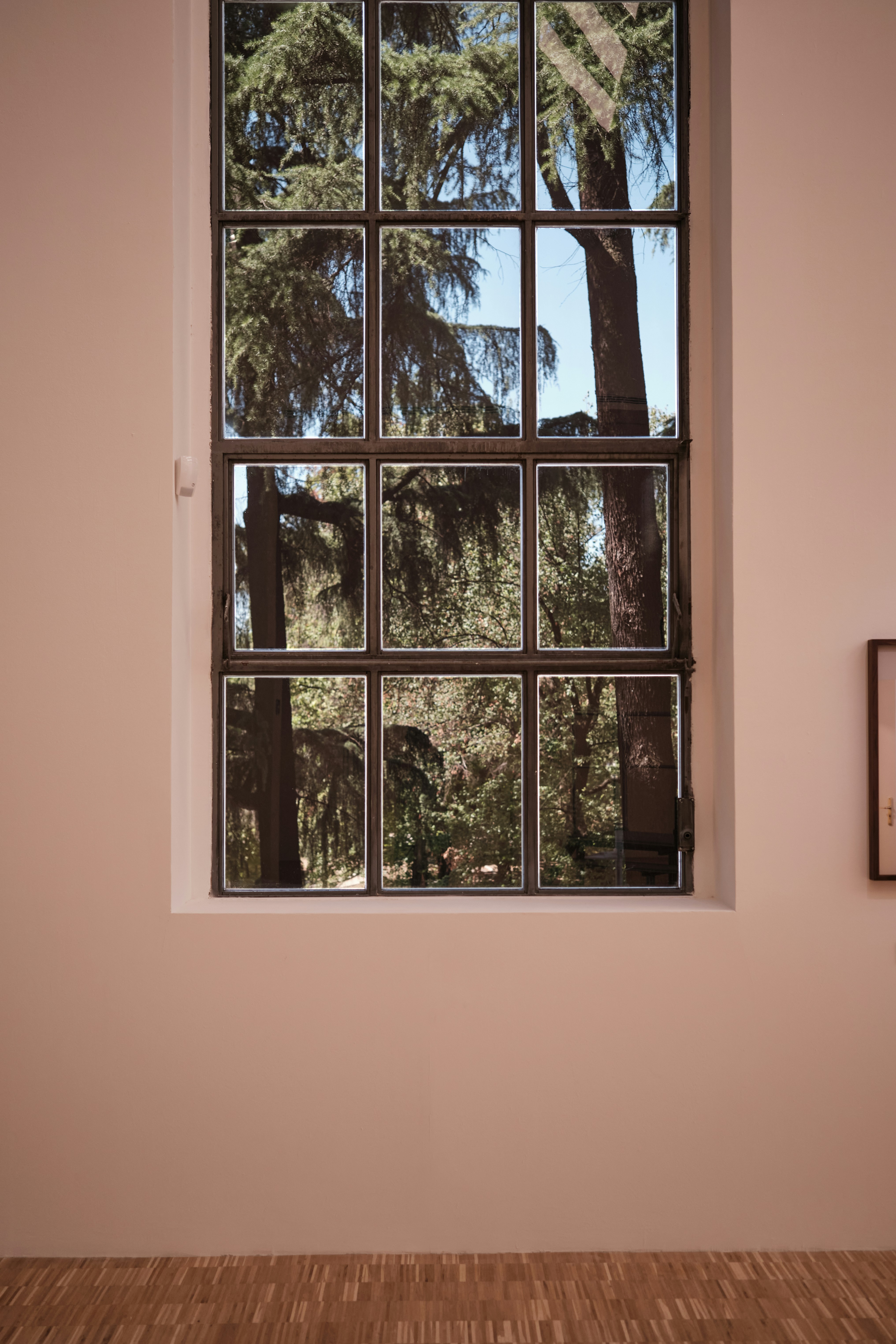 Una ventana con un árbol afuera foto – Imagen de Milano gratuita en ...