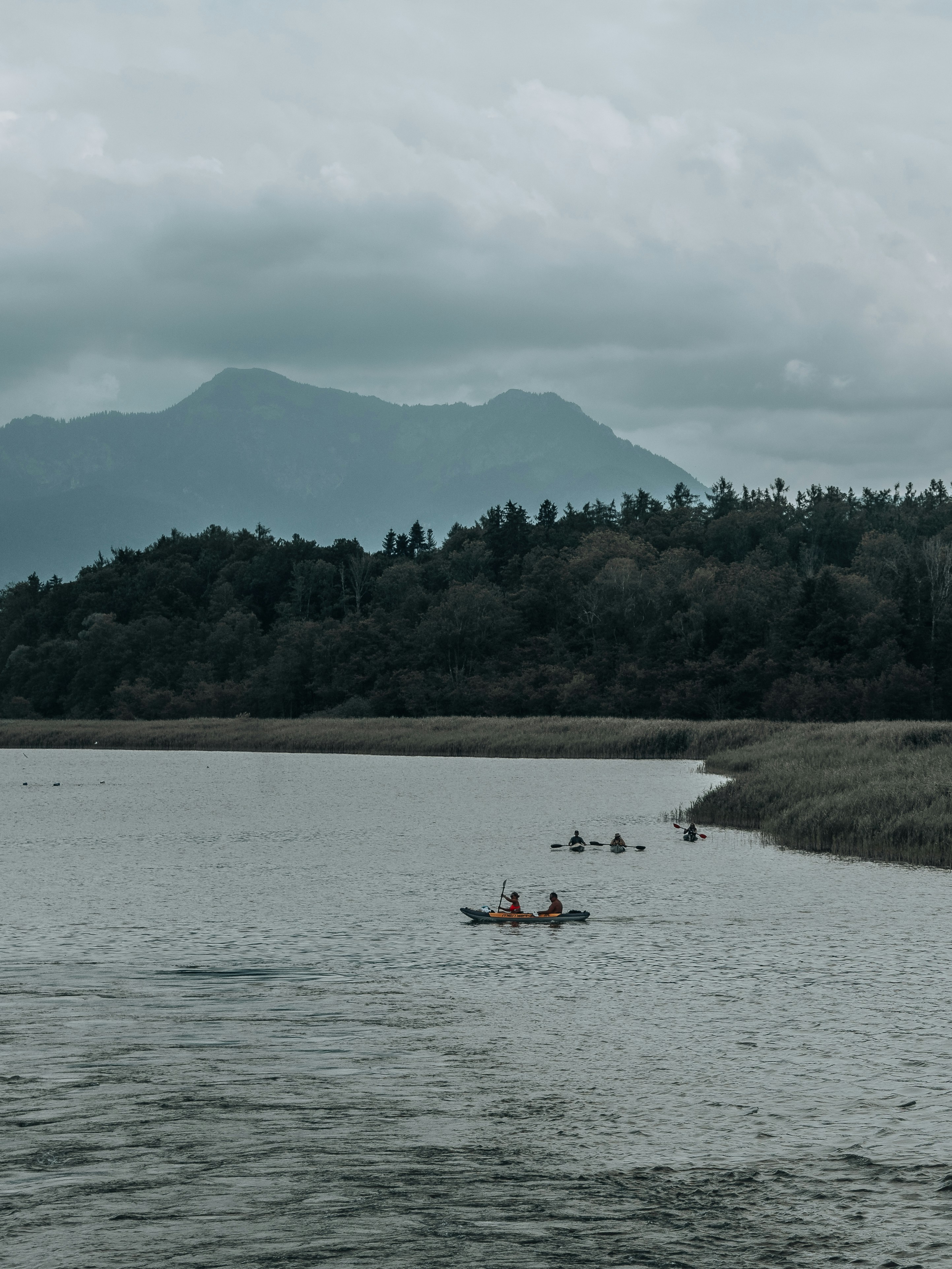 Foto Un grupo de personas remando en un bote – Imagen Negro gratis en ...