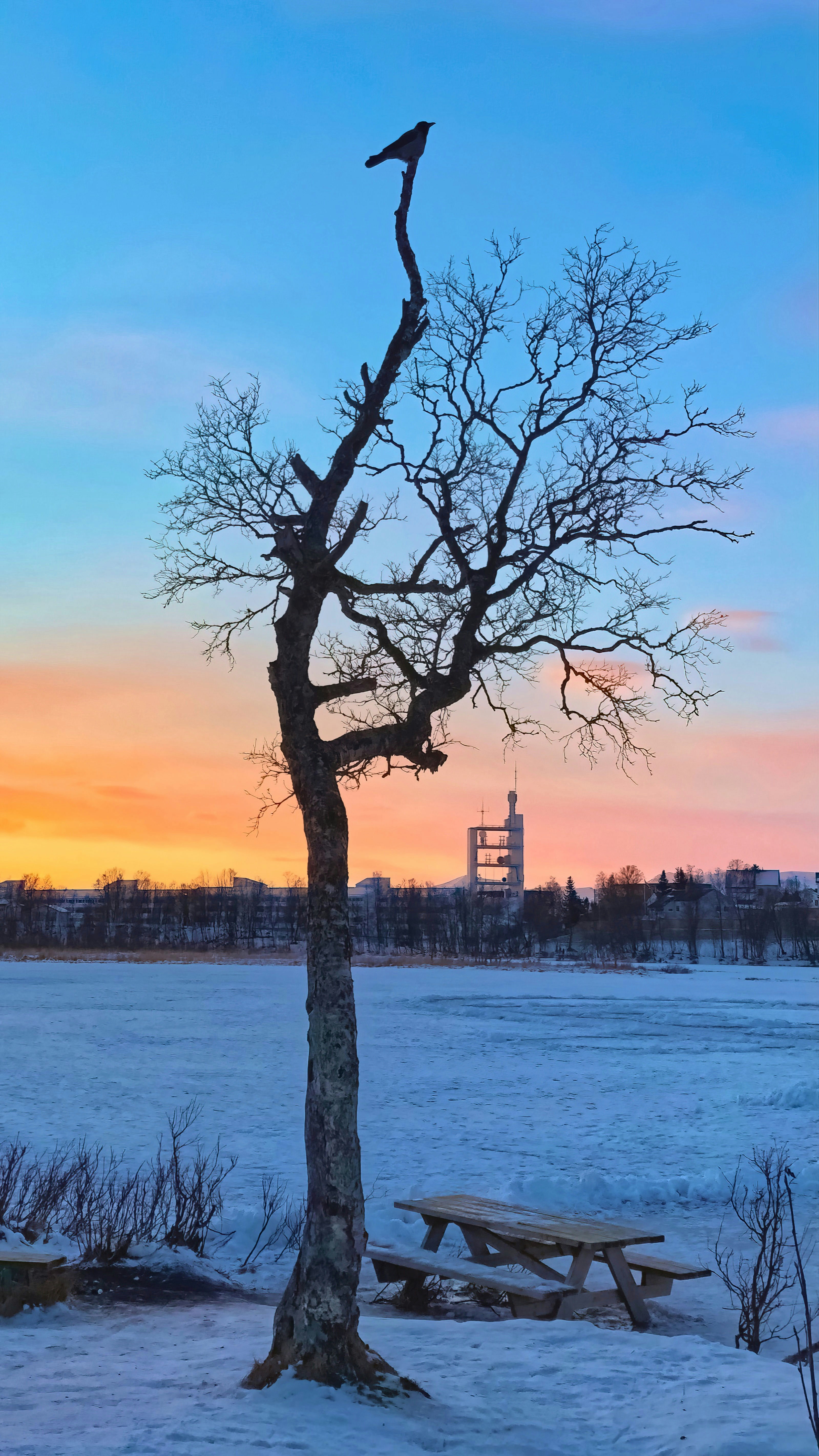 Jorn Eriksen (@jse71) | Unsplashフォトコミュニティ