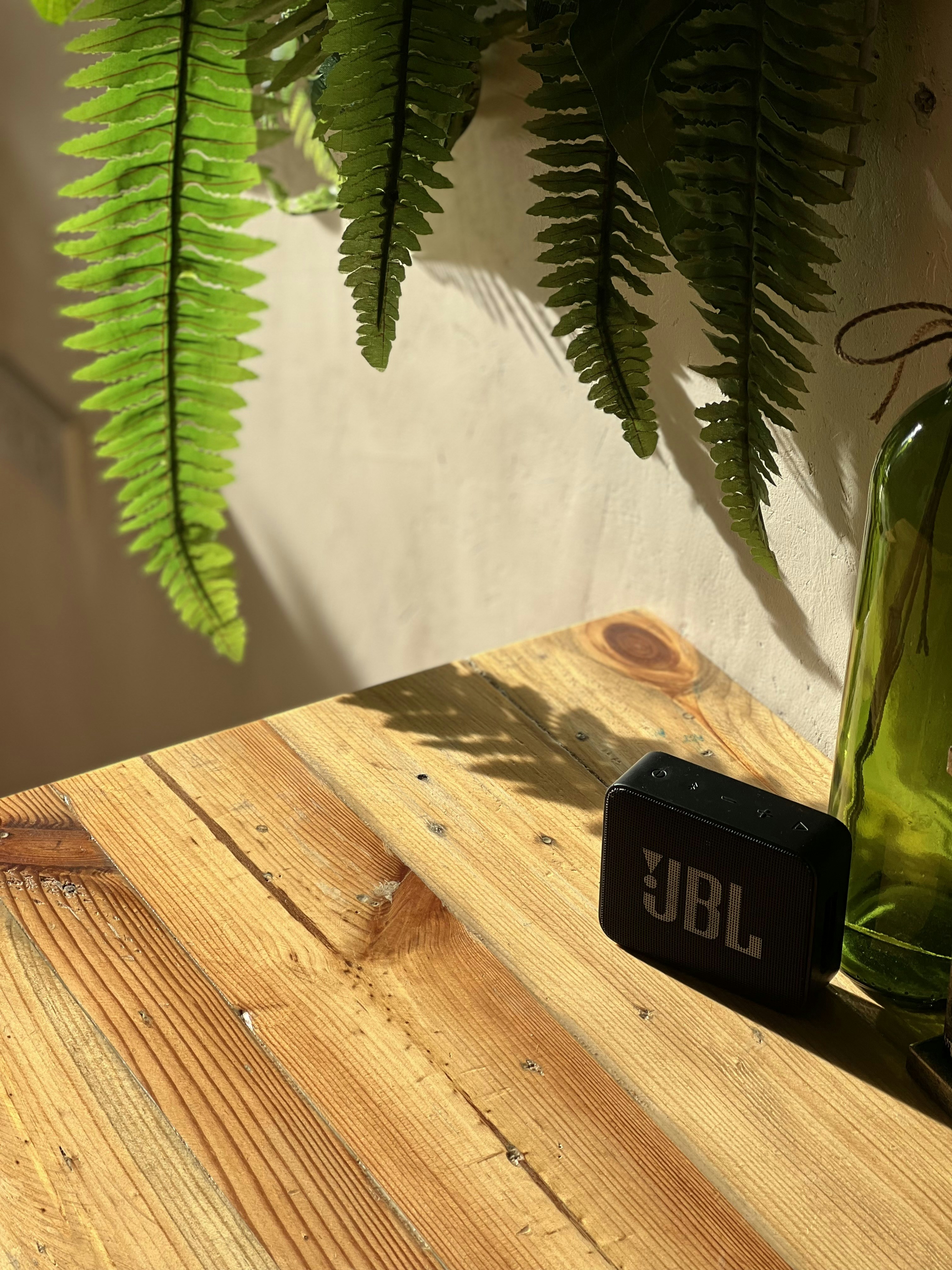 Fern-Framed Glow: JBL Speaker on a Weathered Wooden Table