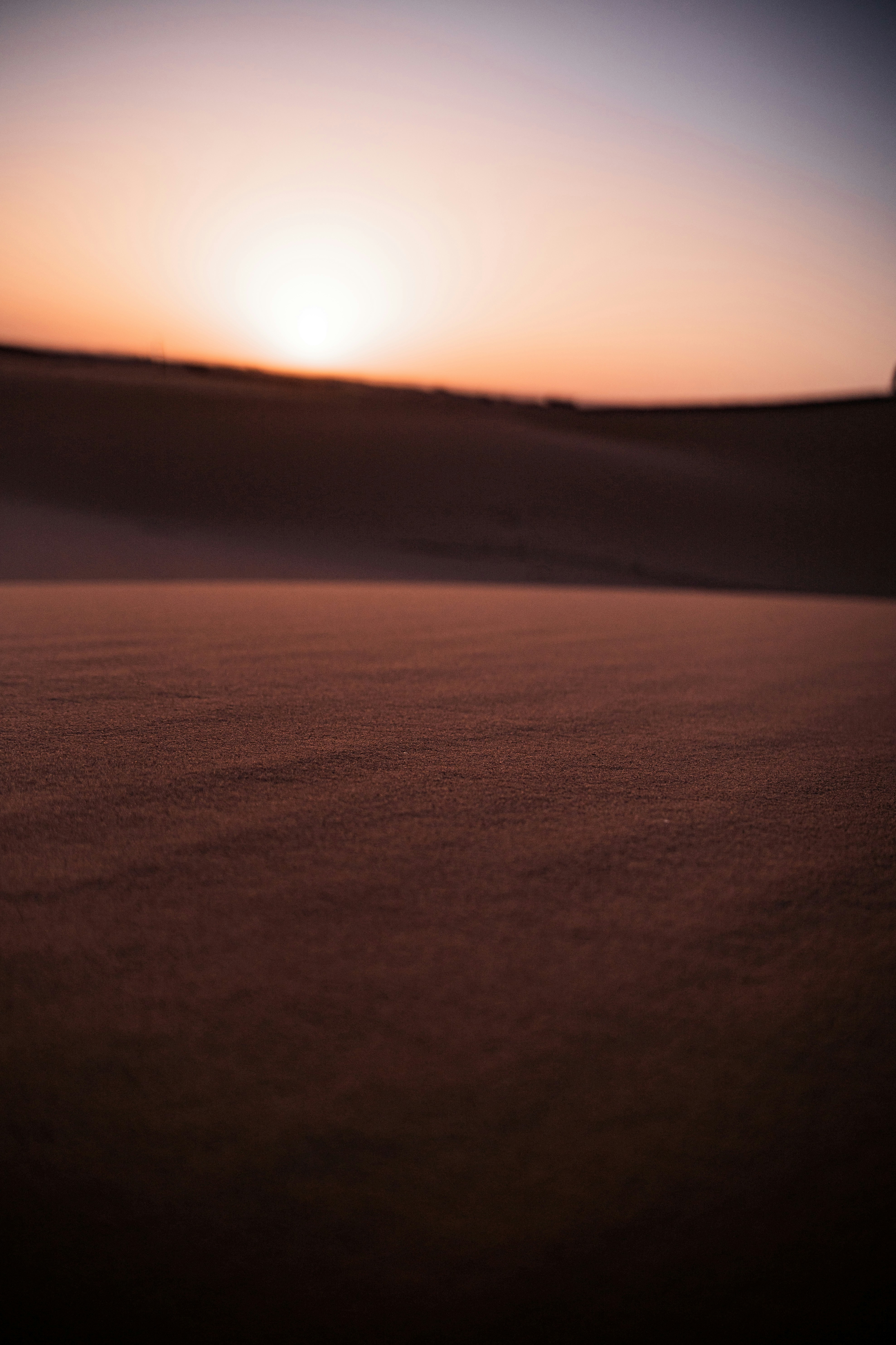 A large flat area with a sunset photo – Free Sahara desert Image on ...
