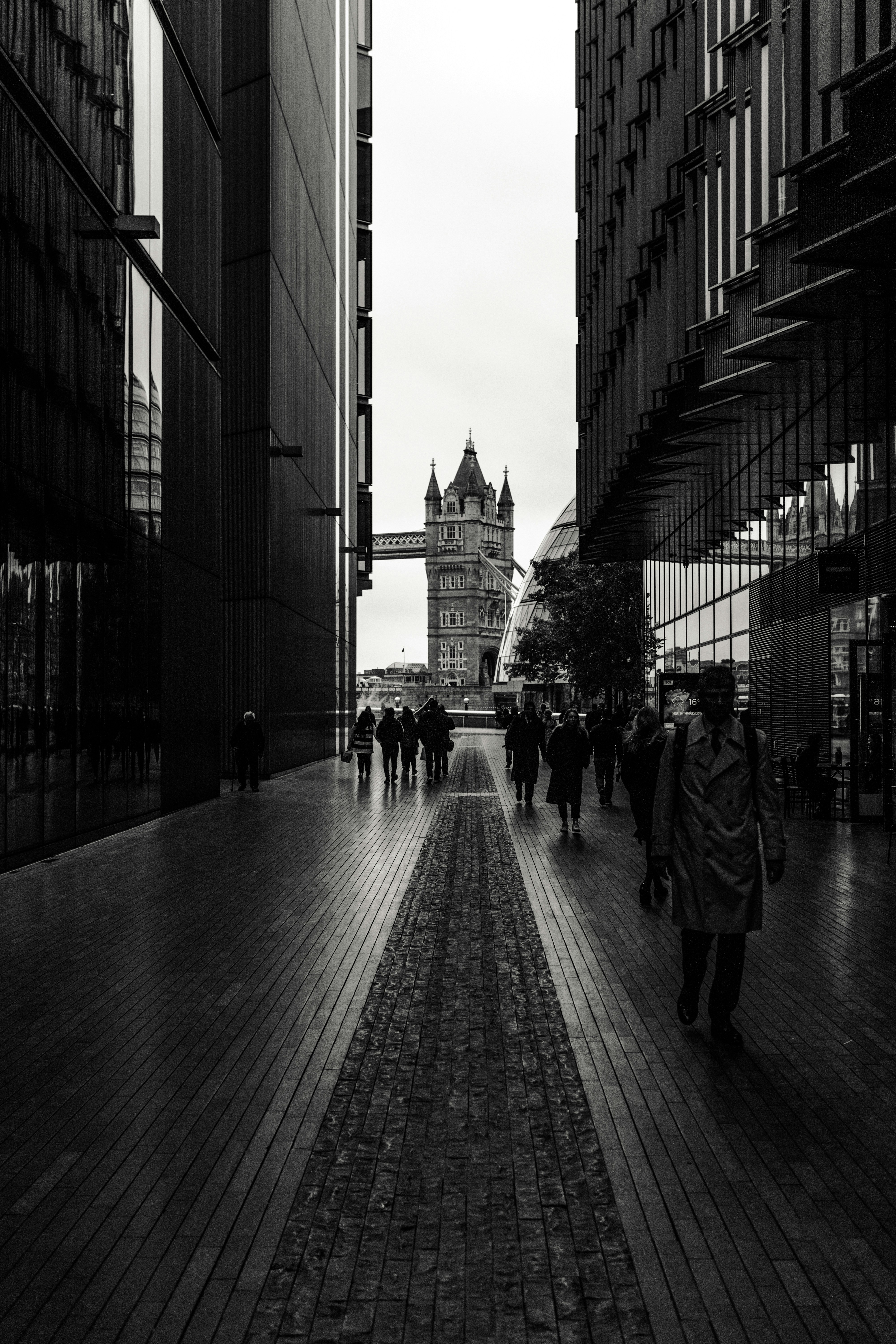 Igor Sporynin (@igorharrier) | Unsplash Photo Community