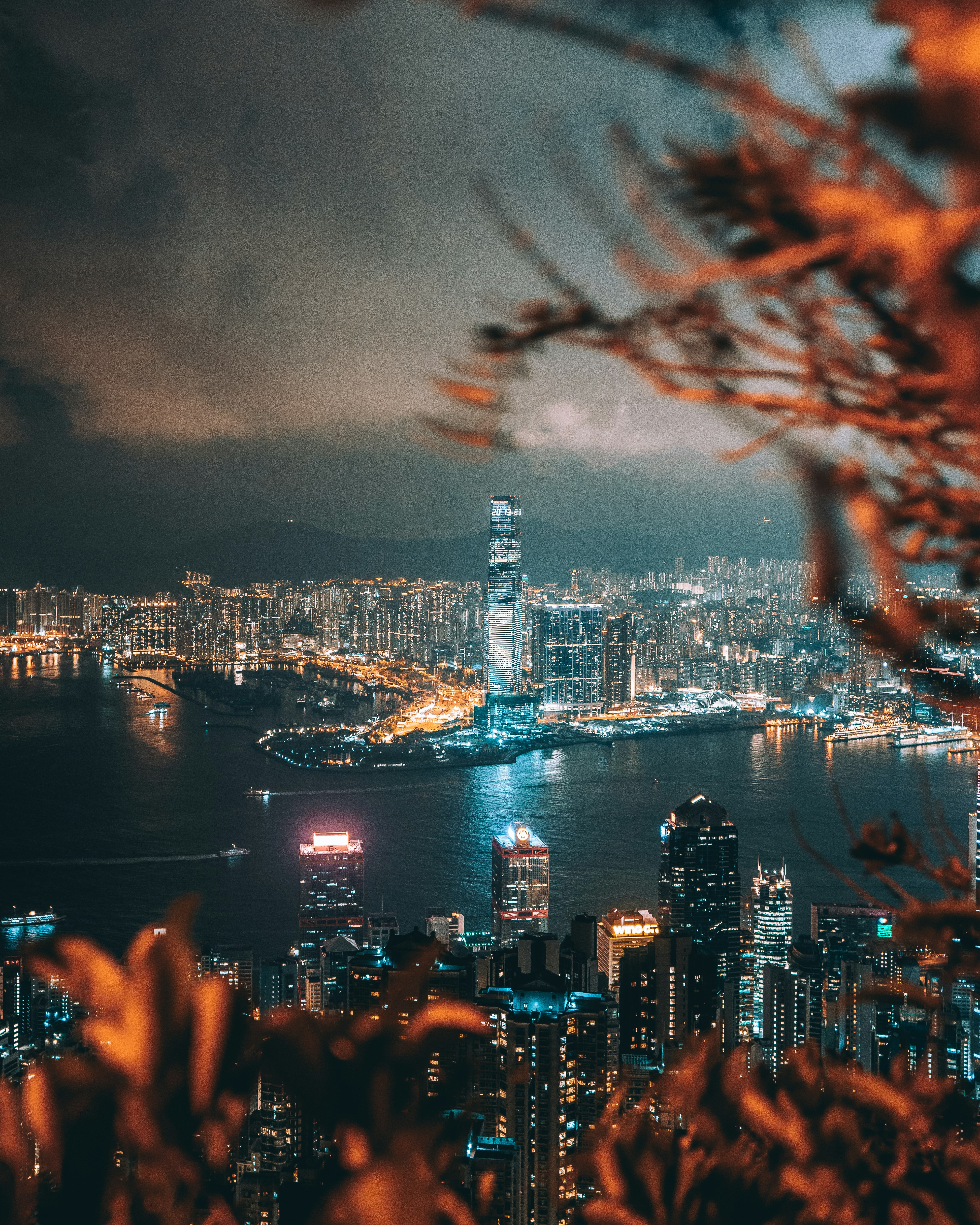 Crimson Fronds Framing a Neon Harbor Skyline at Night